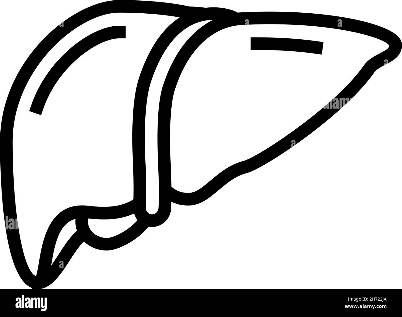 liver human organ line icon vector illustration Stock Vector Image ...