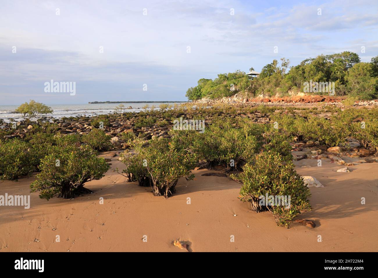 Darwin erosion rock coast beach hi-res stock photography and images - Alamy