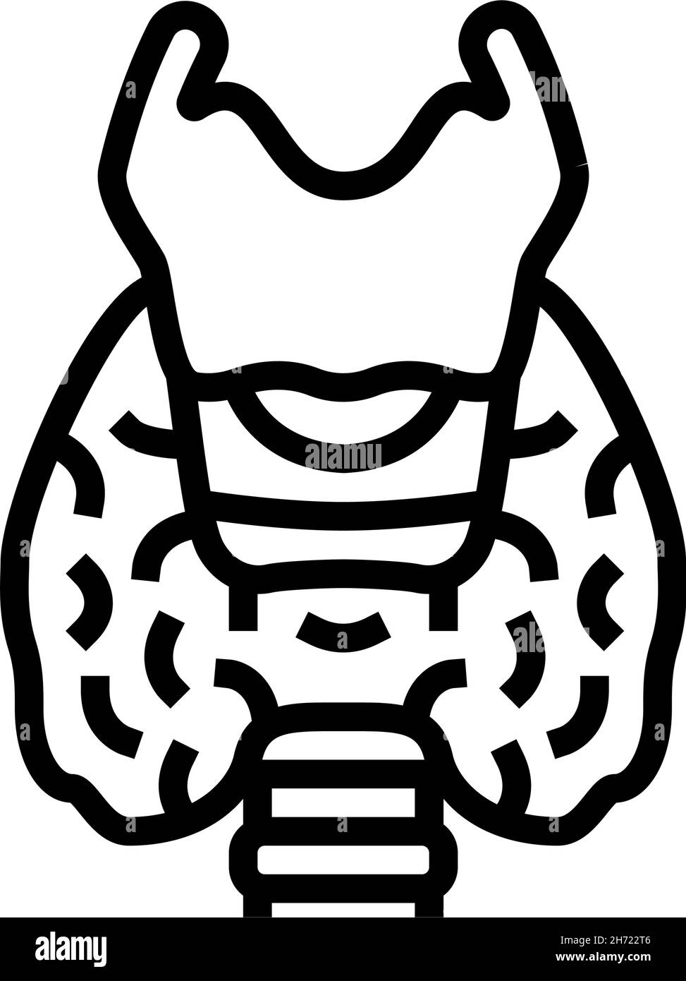 thyroid human organ line icon vector illustration Stock Vector Image ...