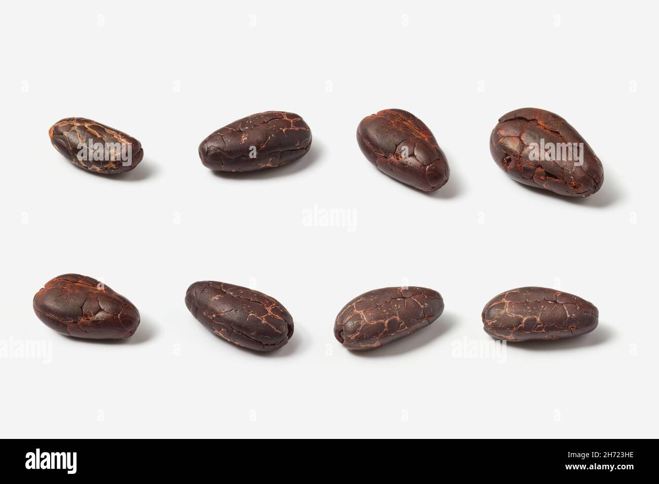 Rows of peeled texture cocoa beans Stock Photo - Alamy