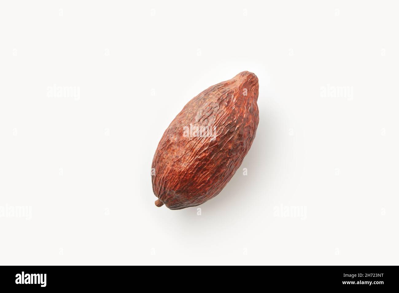 Textured whole pod of cacao tree Stock Photo - Alamy