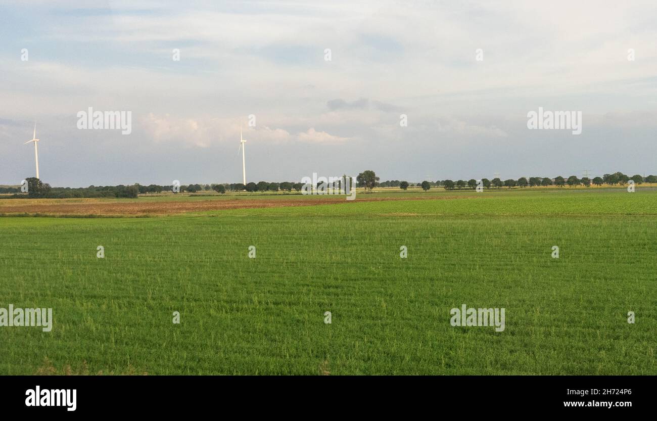 Large green field with wind powers in Antwerp, Belgium Stock Photo - Alamy