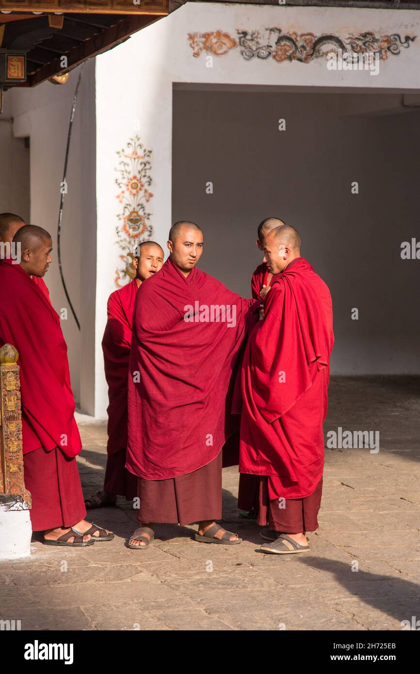 A group of Buddhist monks in a dochey or courtyard in the Punakha Dzong ...
