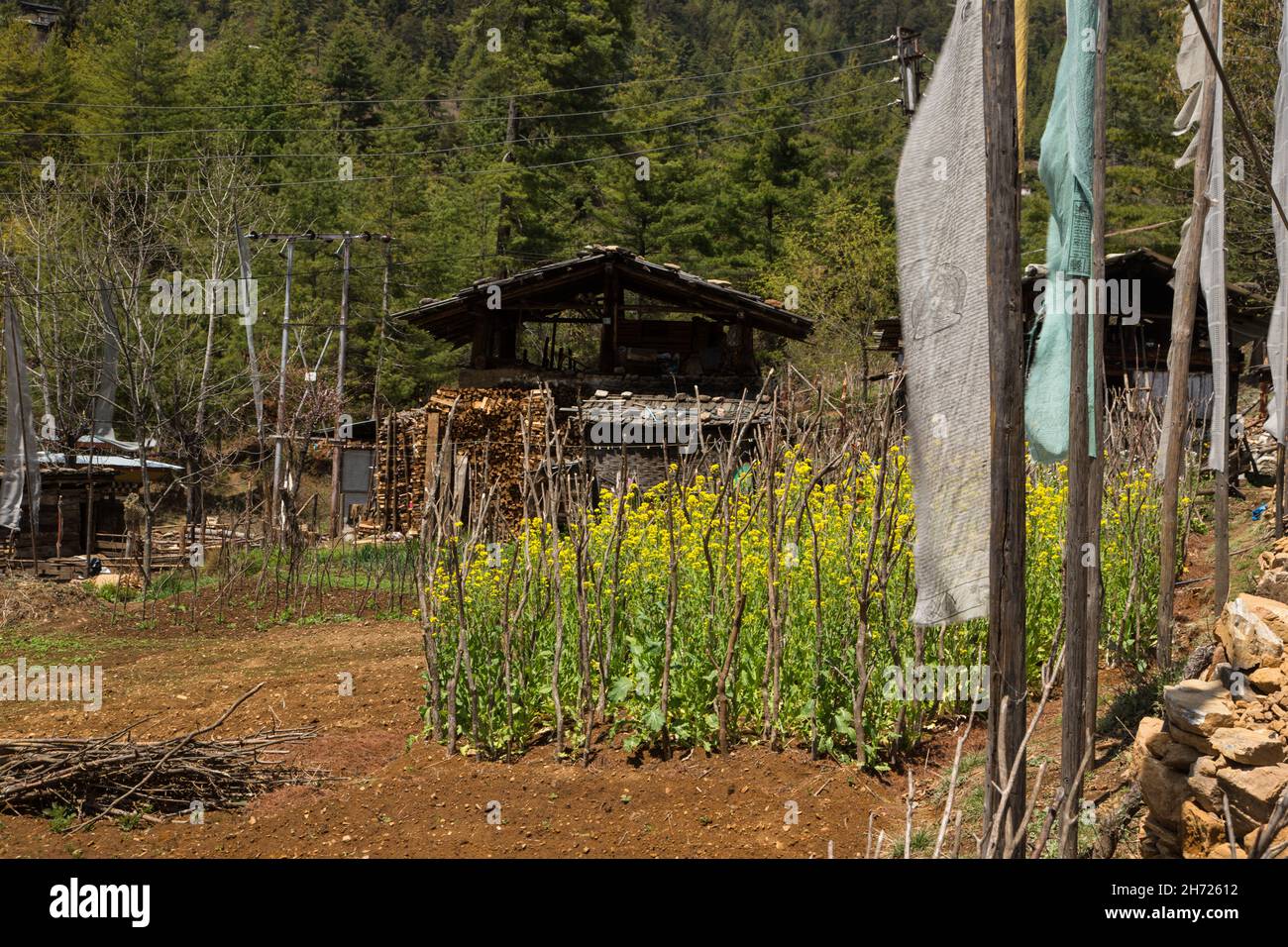 A traditional Bhutanese farm house in the the village of Hongtsho ...