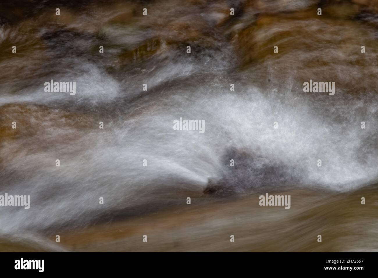 Beautiful view of spring water with rocks in a forest Stock Photo - Alamy