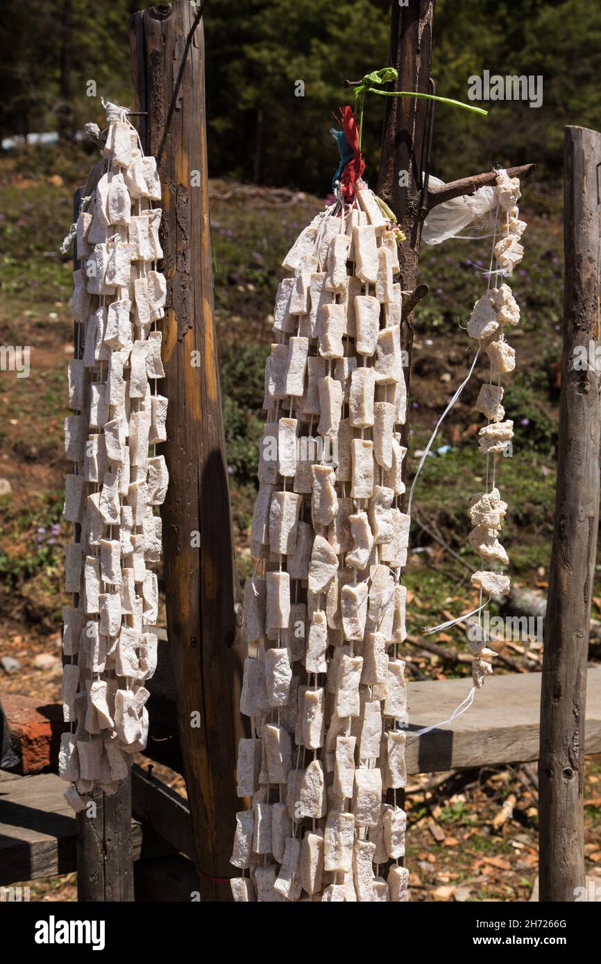 Strings of chugo or dried yak cheese for sale in a mountain village in ...
