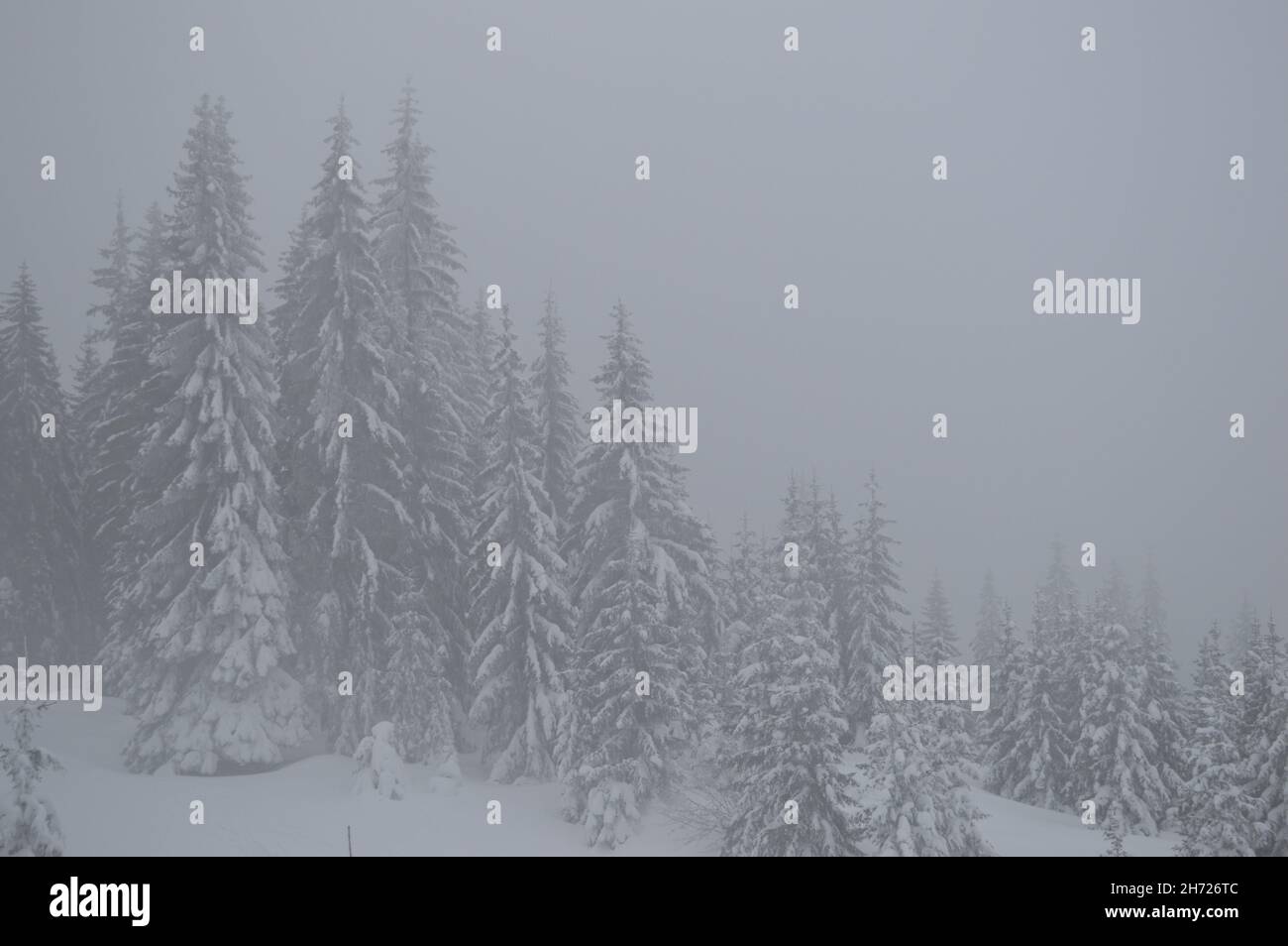 Winter hihking on Vlasic mountain, Bosnia and Herzegovina Stock Photo ...
