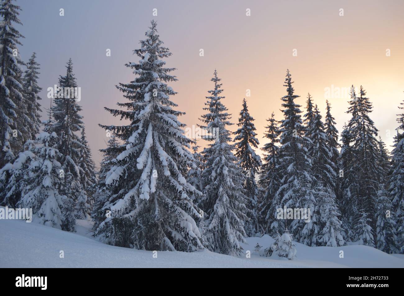 Vlasic bosnia hi-res stock photography and images - Alamy