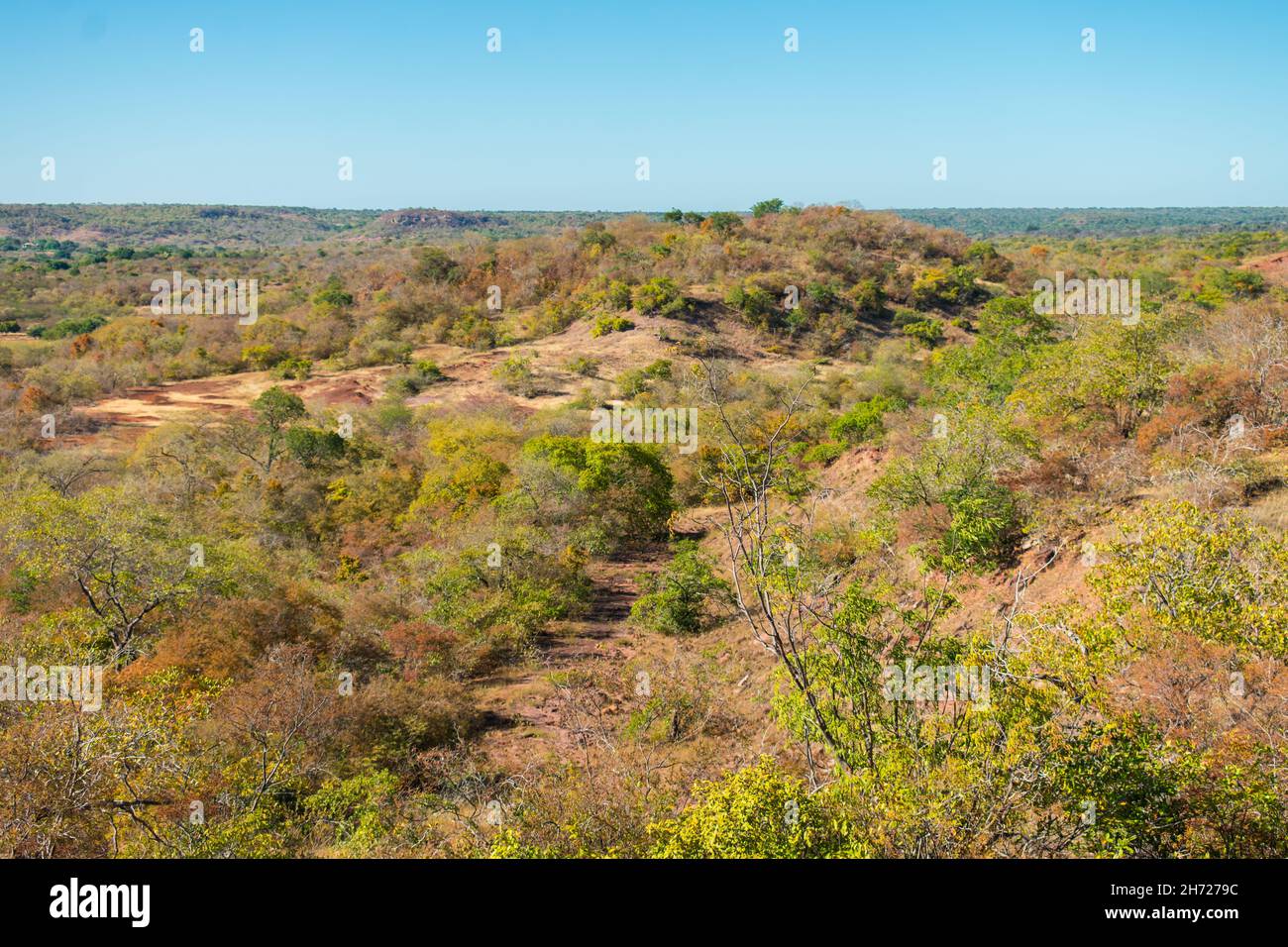 A view of the caatinga landscape in autumn (beginning of the dry season ...