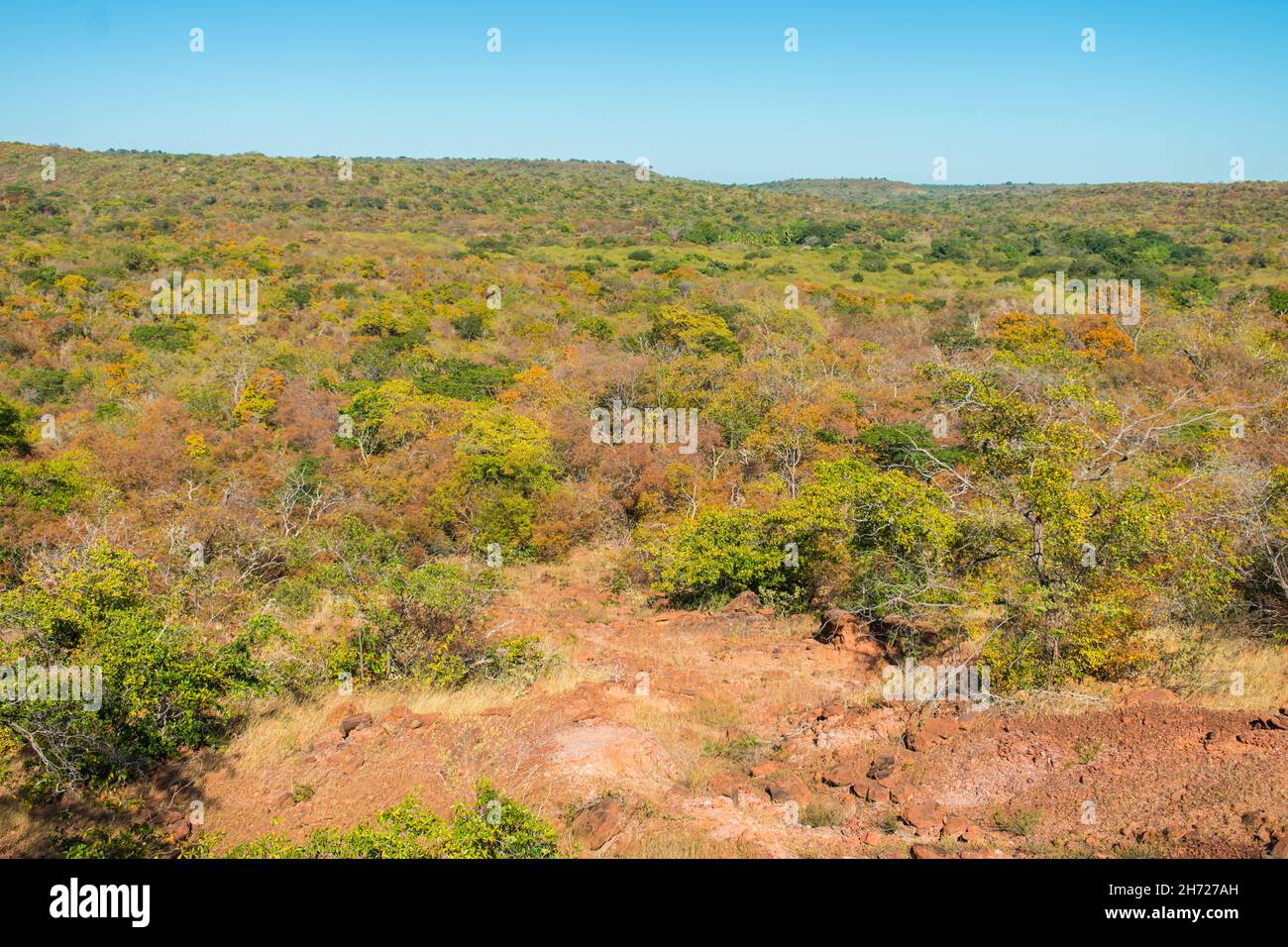 A view of the caatinga landscape in autumn (beginning of the dry season ...