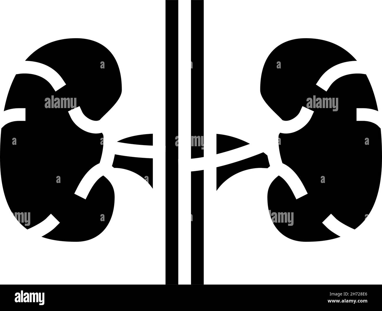kidney human organ glyph icon vector illustration Stock Vector Image ...