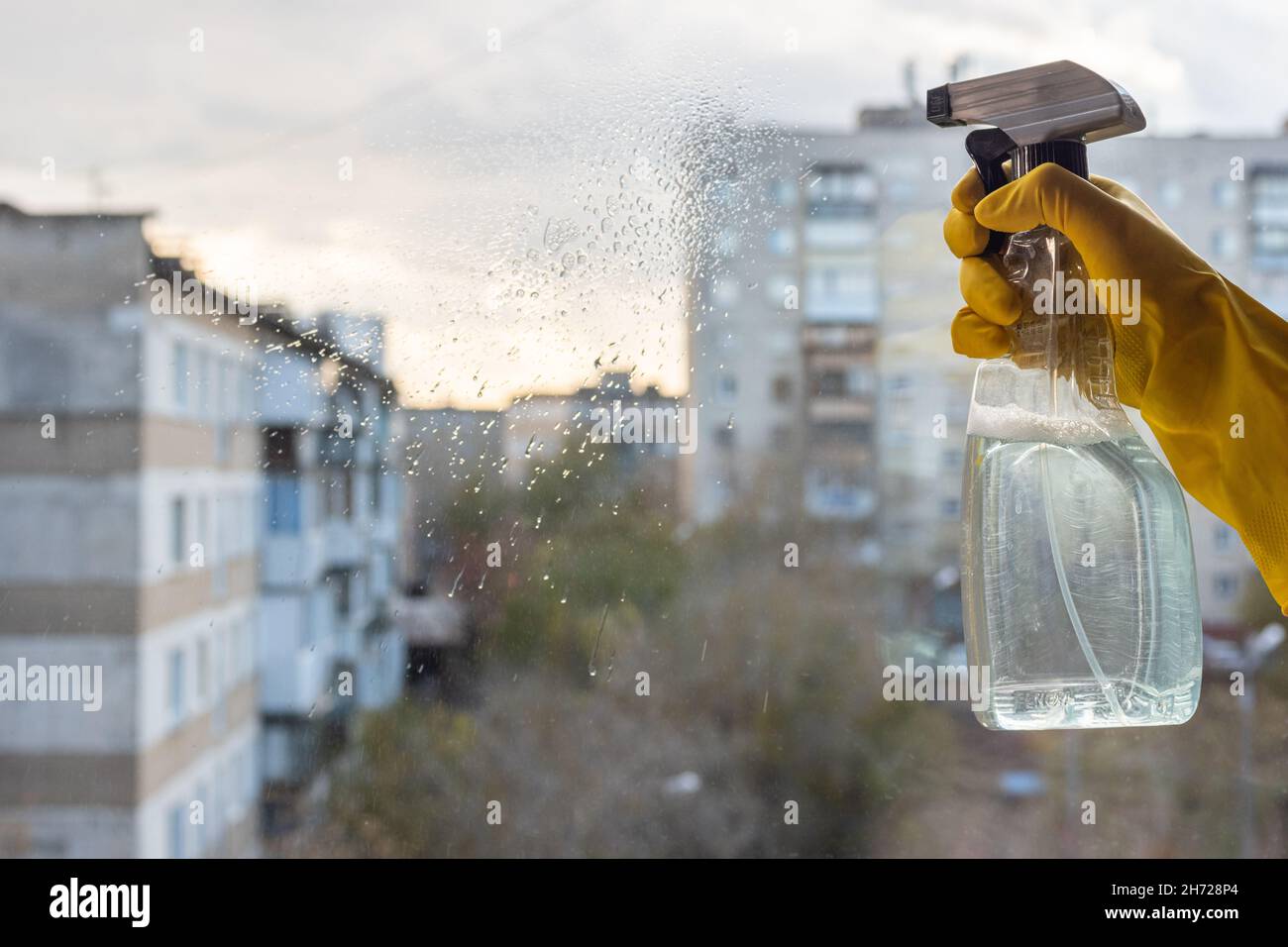 A hand in a yellow glove holding a pulverizer and spraying a foamy ...