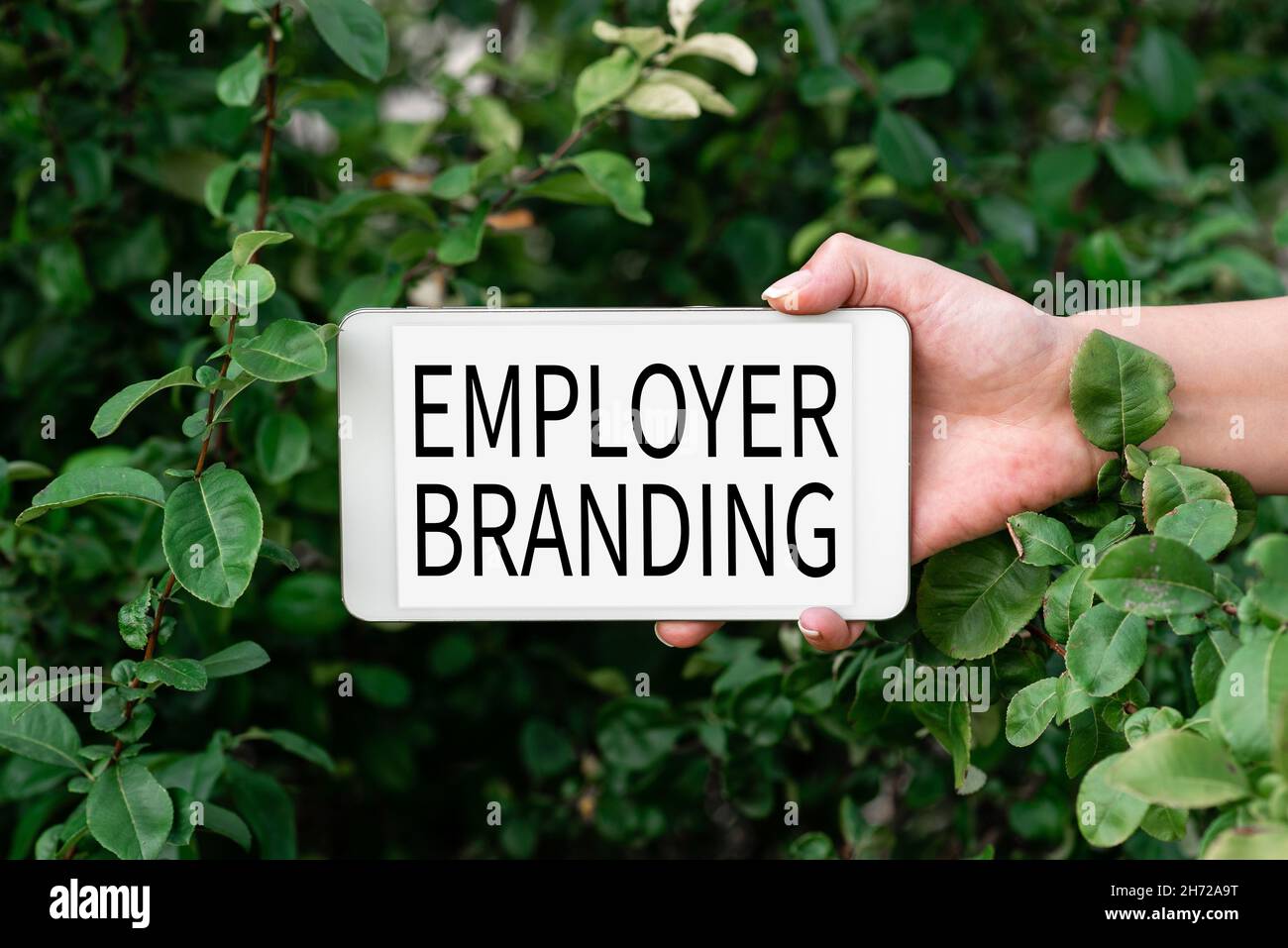 Writing displaying text Employer Branding. Business idea promoting ... Writing displaying text Employer Branding. Business idea promoting ...