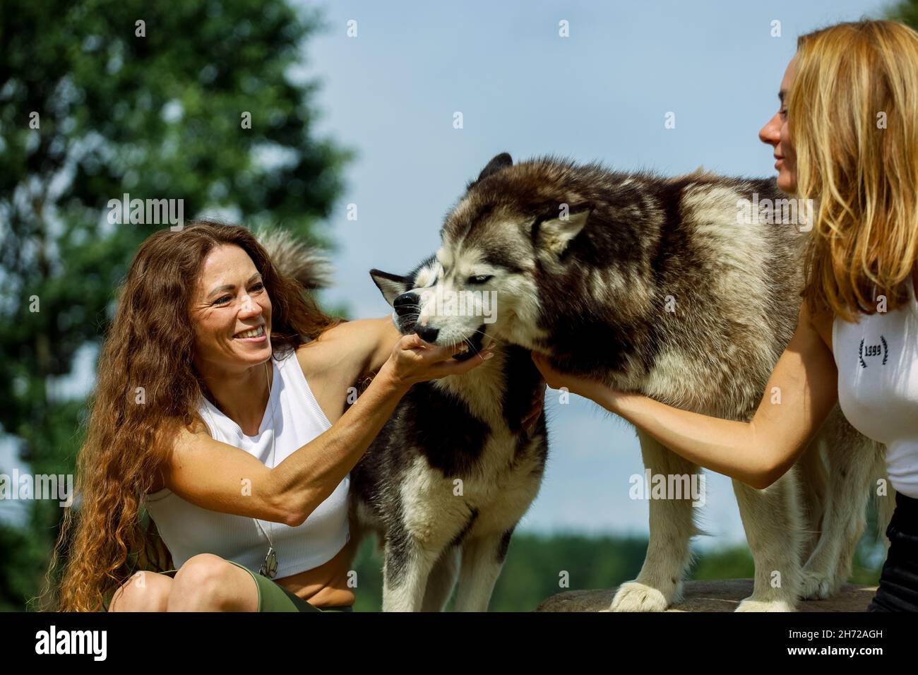 Human wolf hi-res stock photography and images - Alamy