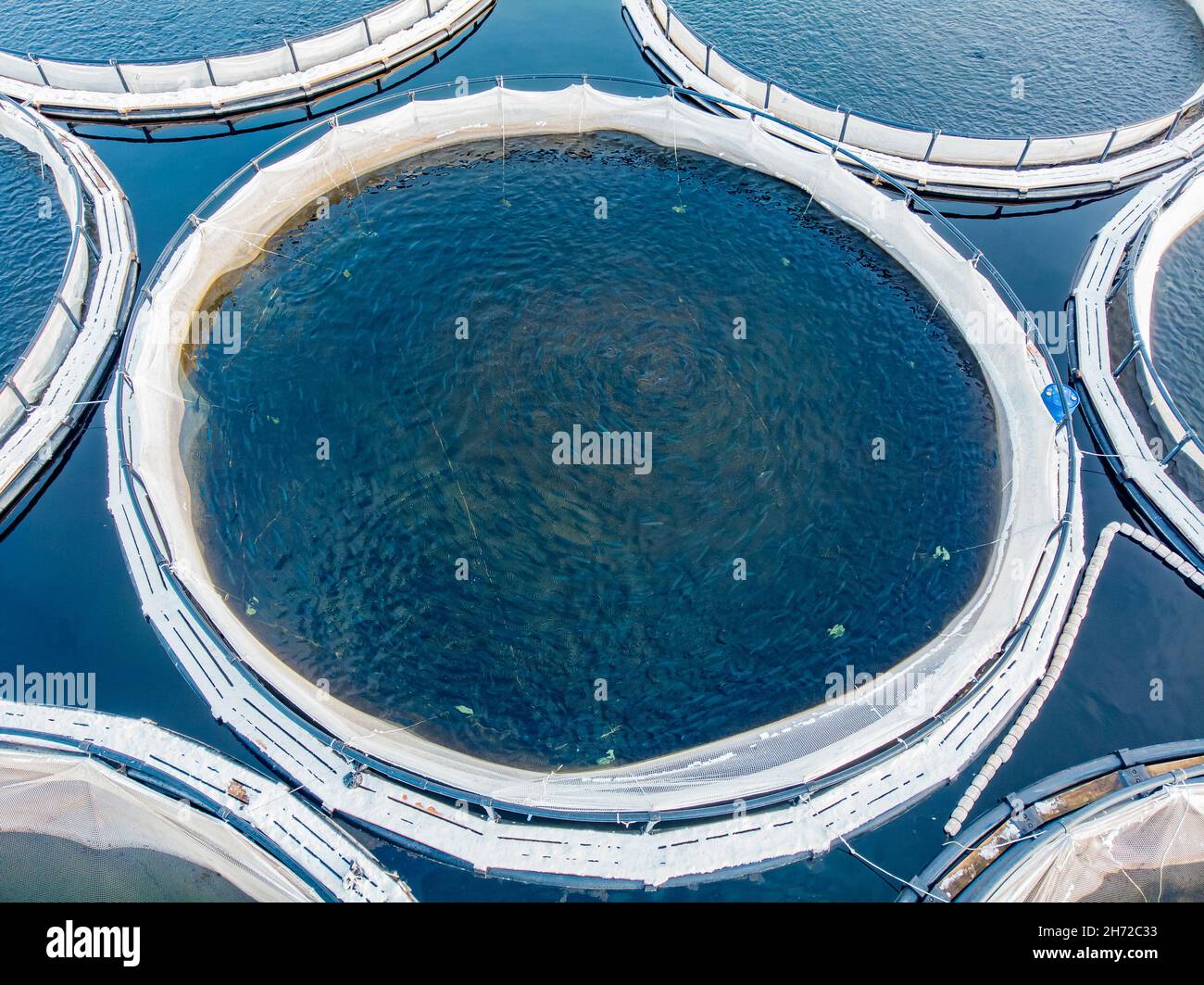 Salmon fish farm aquaculture blue water. Aerial top view Stock Photo ...