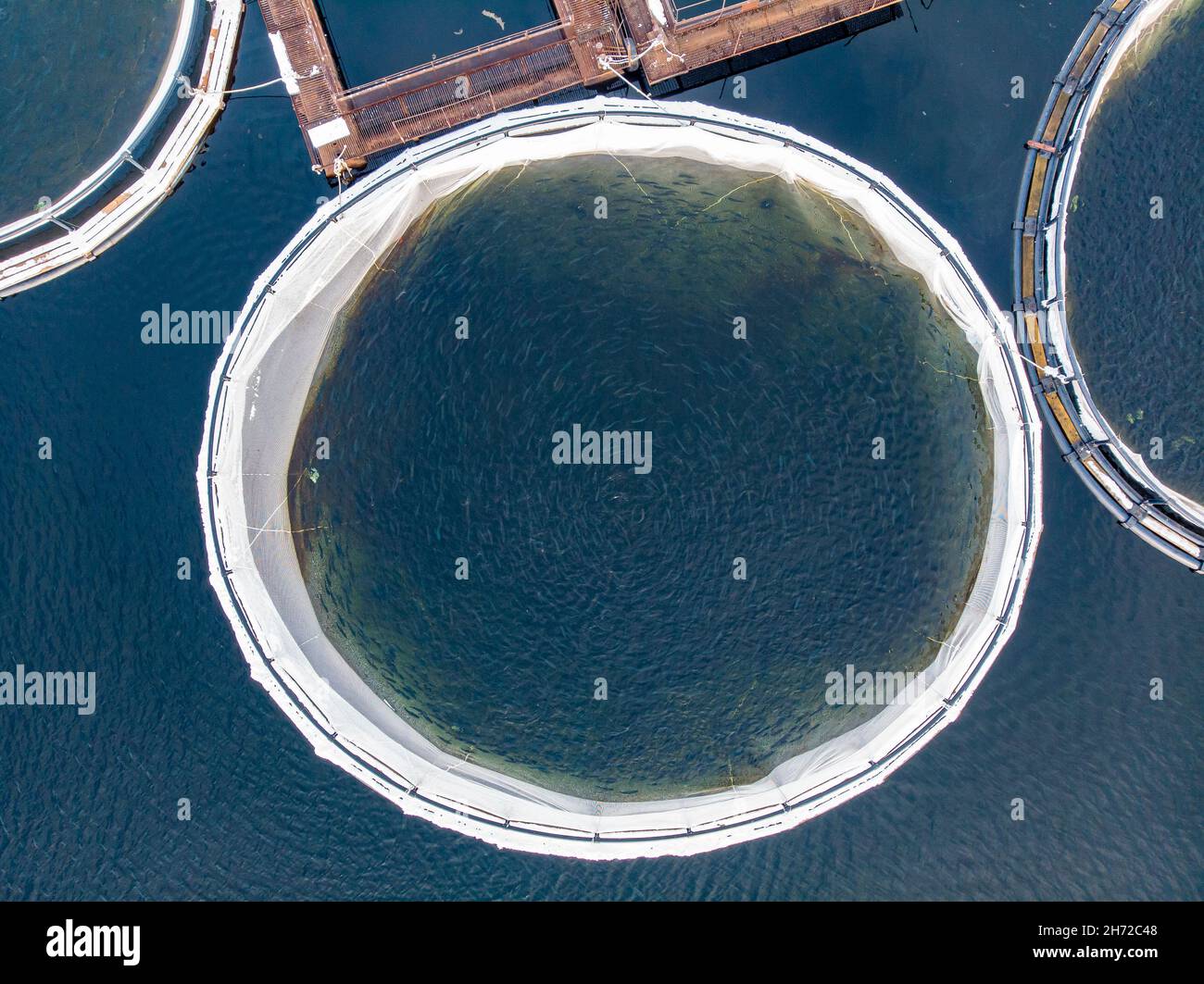Salmon fish farm aquaculture blue water. Aerial top view Stock Photo ...