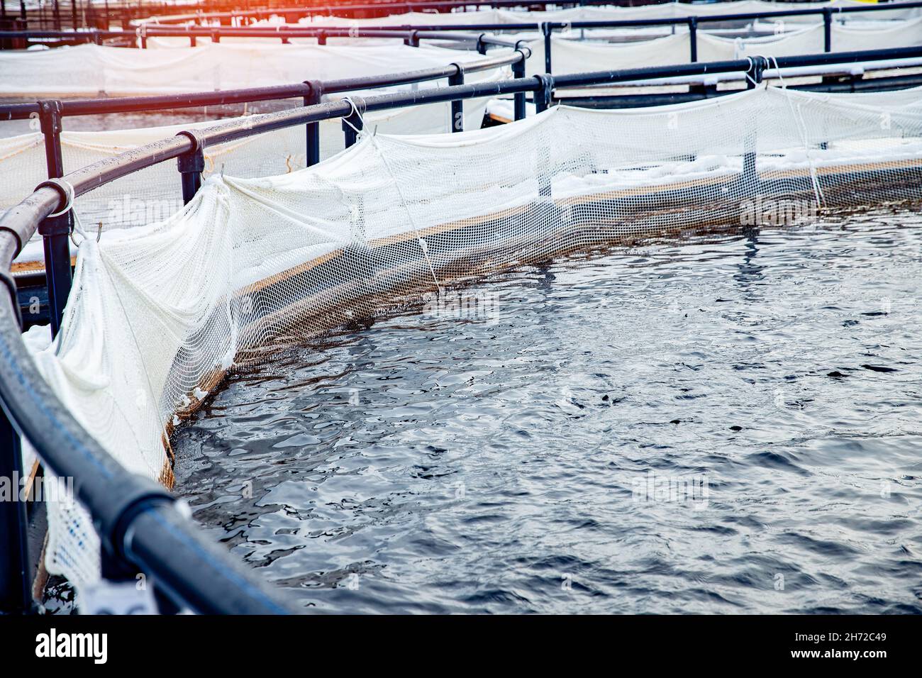 Fish farm for breeding for rainbow trout and salmon fry in net cages ...