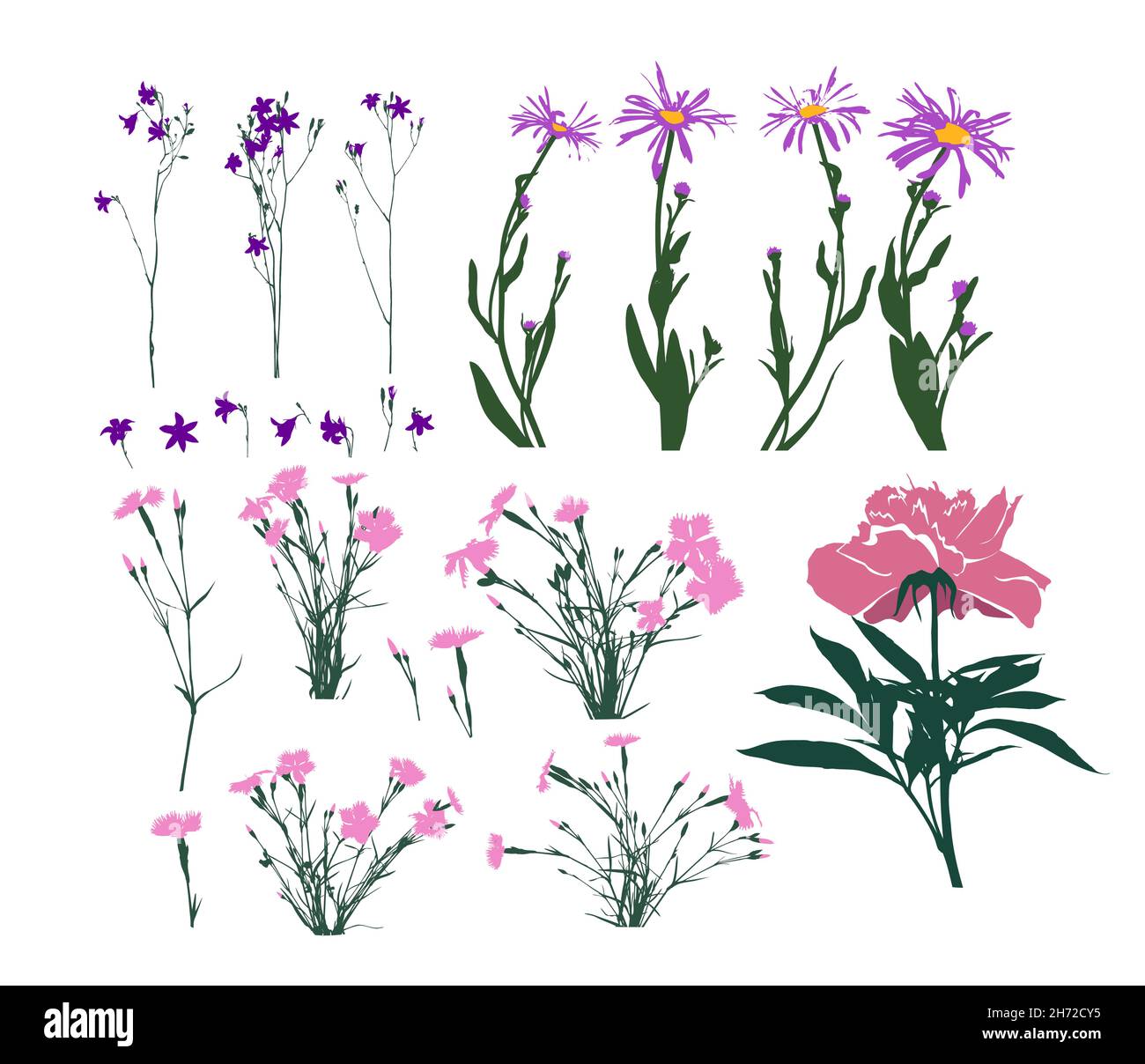 A set of different flowers. Vector illustration Stock Vector Image ...