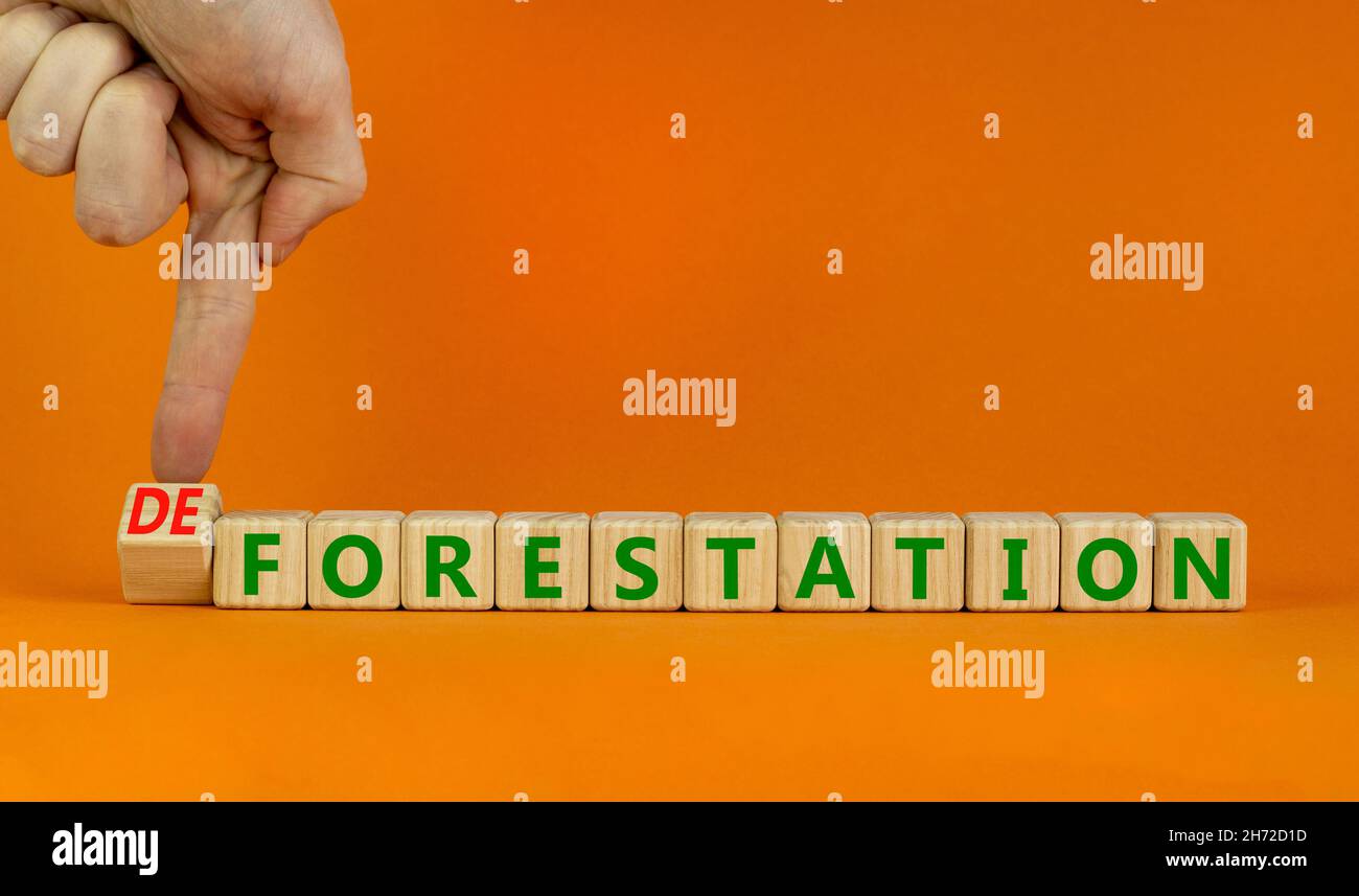 Forestation or deforestaion symbol. Ecologist turns wooden cubes and ...