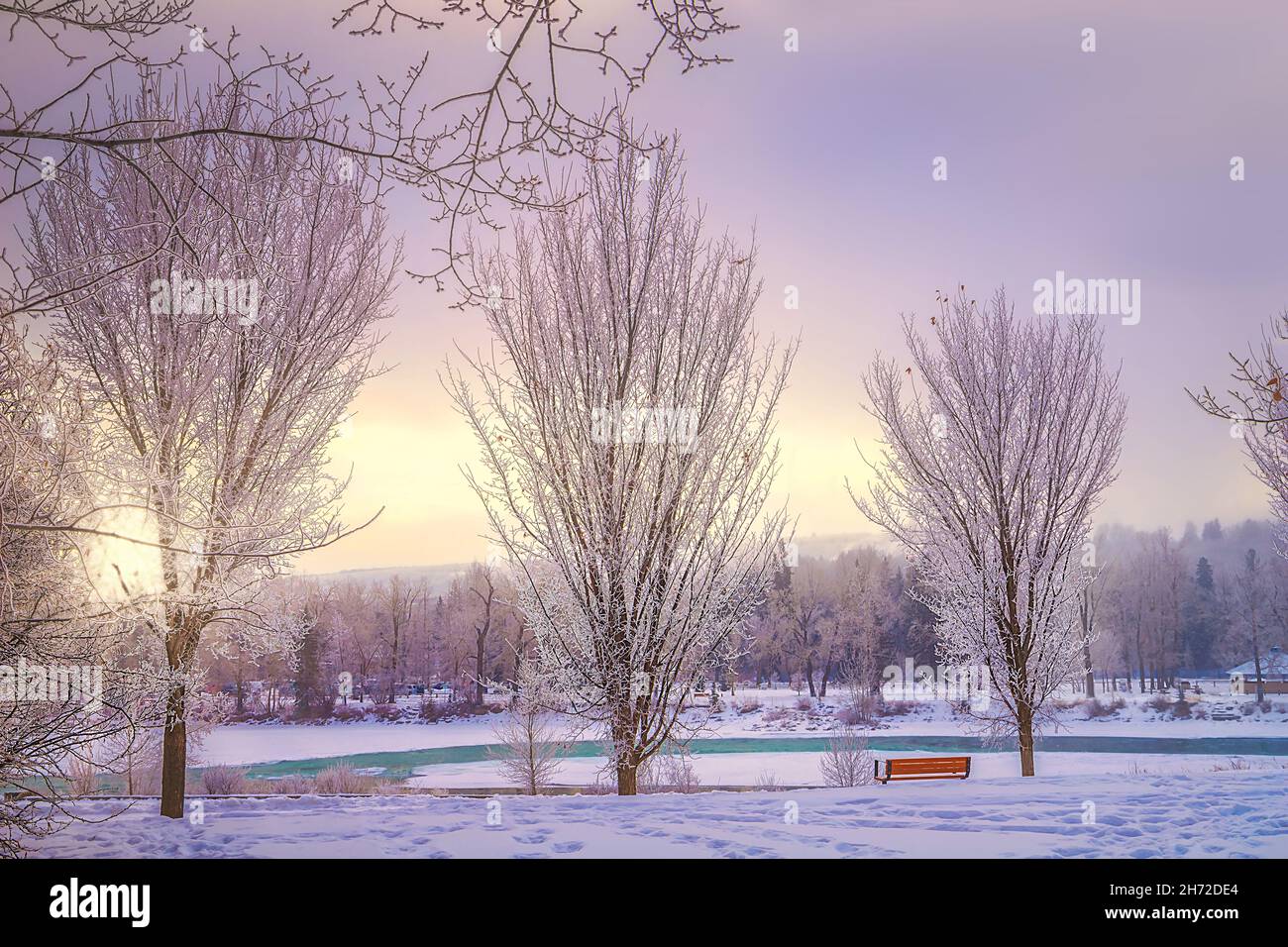 Shining winter park hi-res stock photography and images - Alamy
