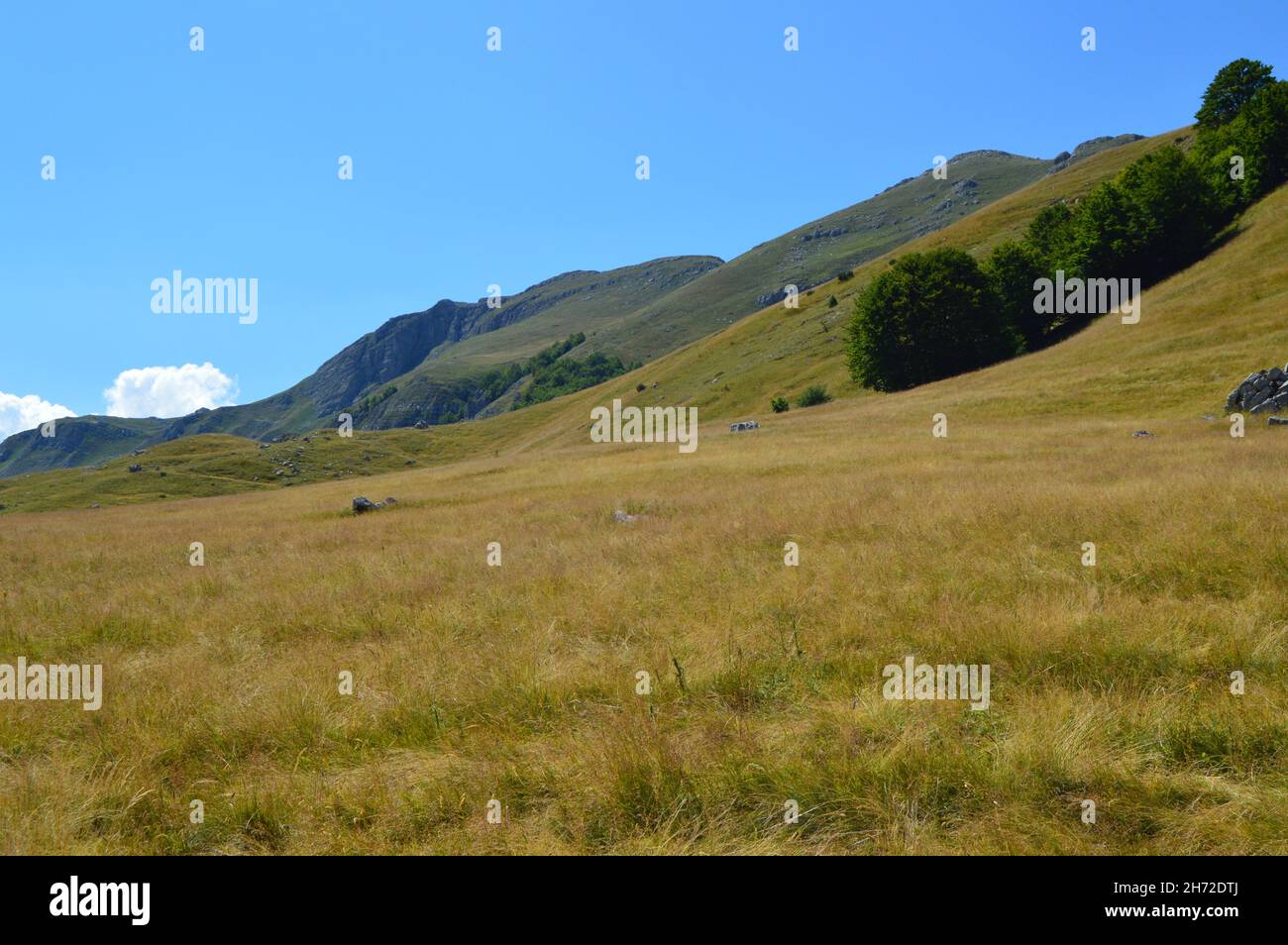 Hiking on Volujak mountain, Great Vlasulja peak, Bosnia Stock Photo - Alamy