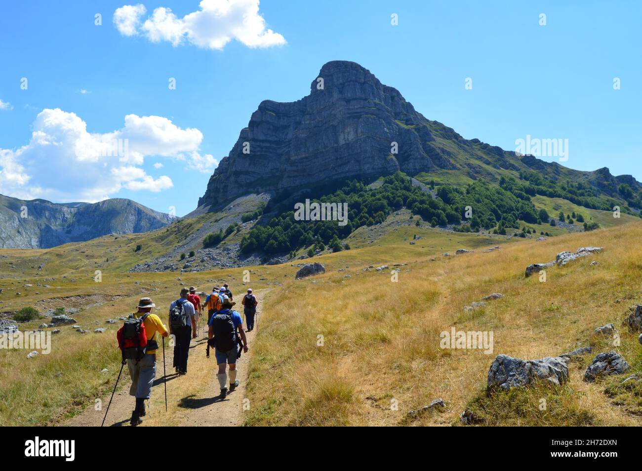 Hiking on Volujak mountain, Great Vlasulja peak, Bosnia Stock Photo - Alamy