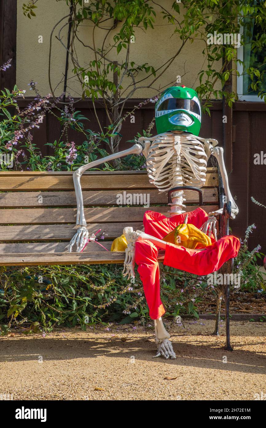 Skeleton wearing a helmet hi-res stock photography and images - Alamy