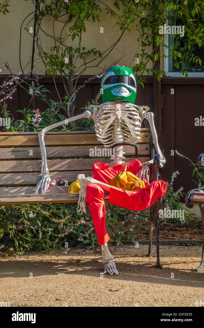 Skeleton wearing a helmet hi-res stock photography and images - Alamy