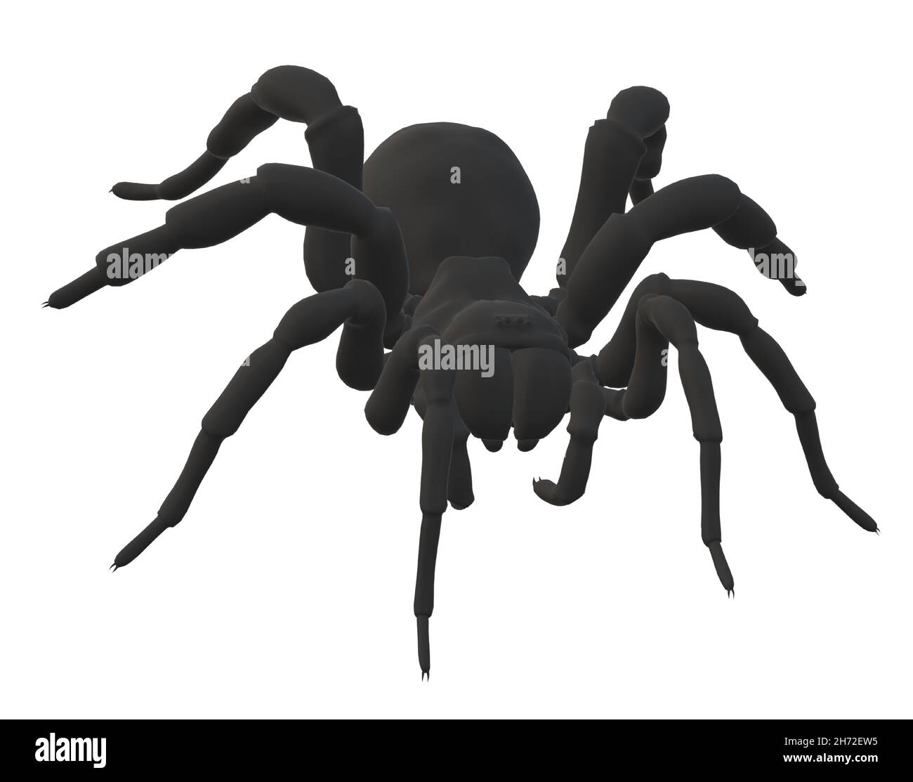 Solid Black Spider Arachnid Decoration Stock Vector Image & Art - Alamy