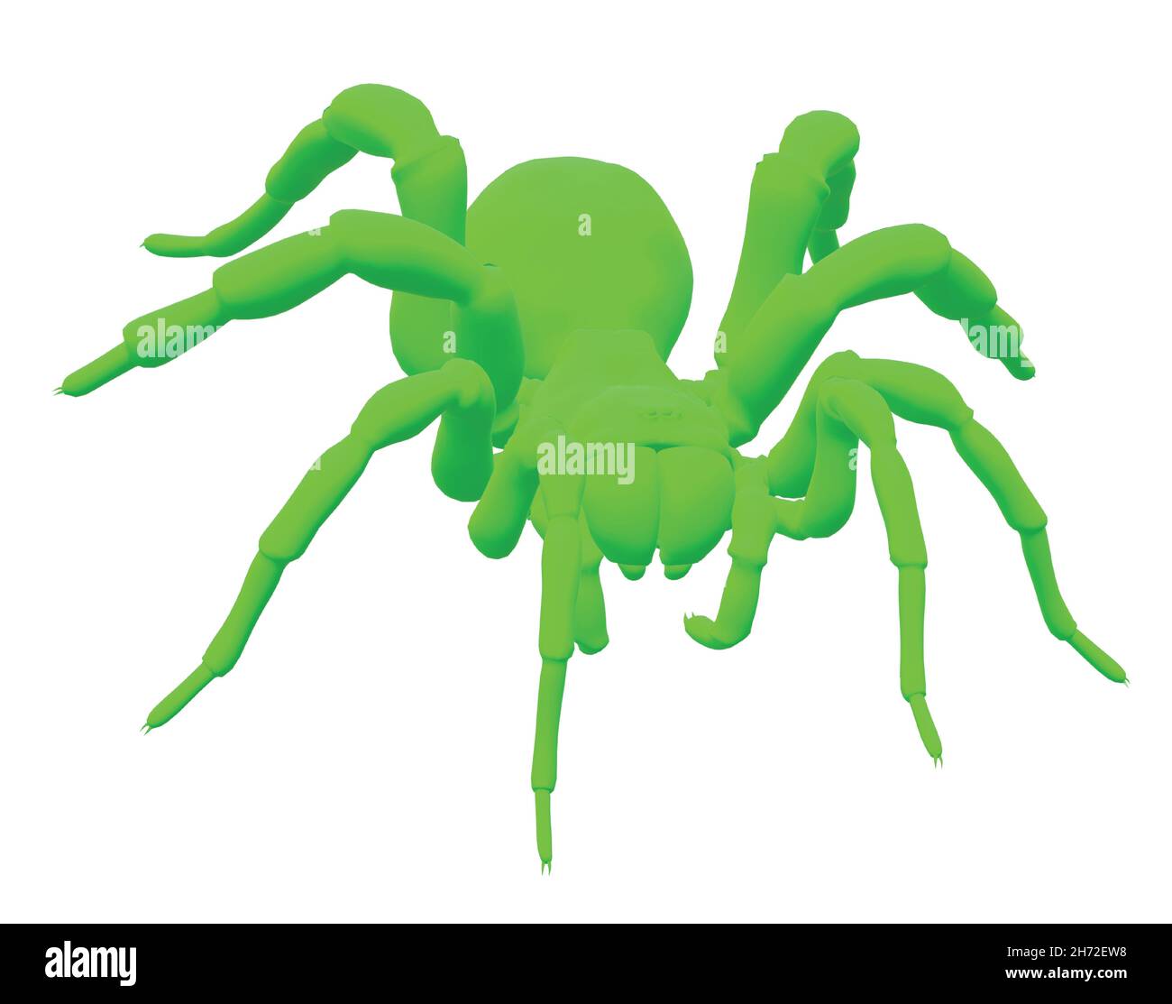 Solid Neon Green Colored Spider Arachnid Decoration Stock Vector Image ...