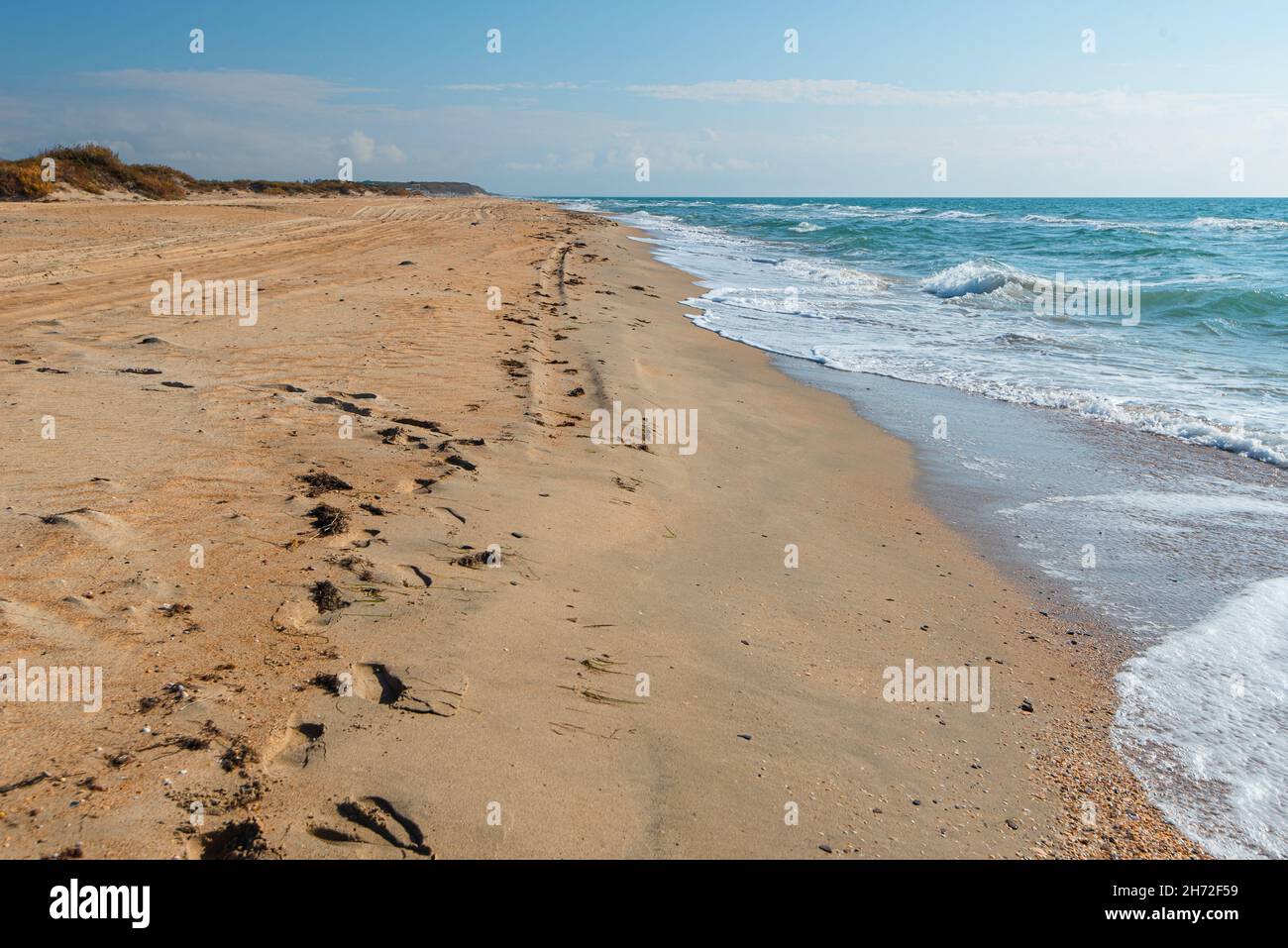 footprints in the sand ocean shore Stock Photo - Alamy