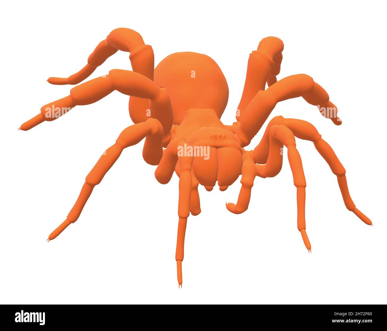 Solid Orange Colored Spider Arachnid Decoration Stock Vector Image ...