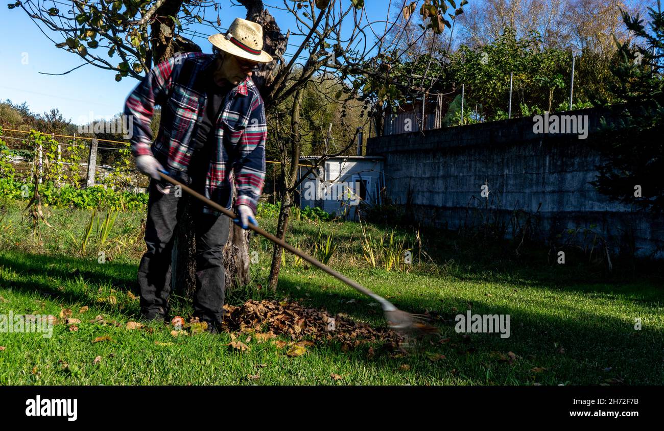 Picking dried grass hi-res stock photography and images - Alamy
