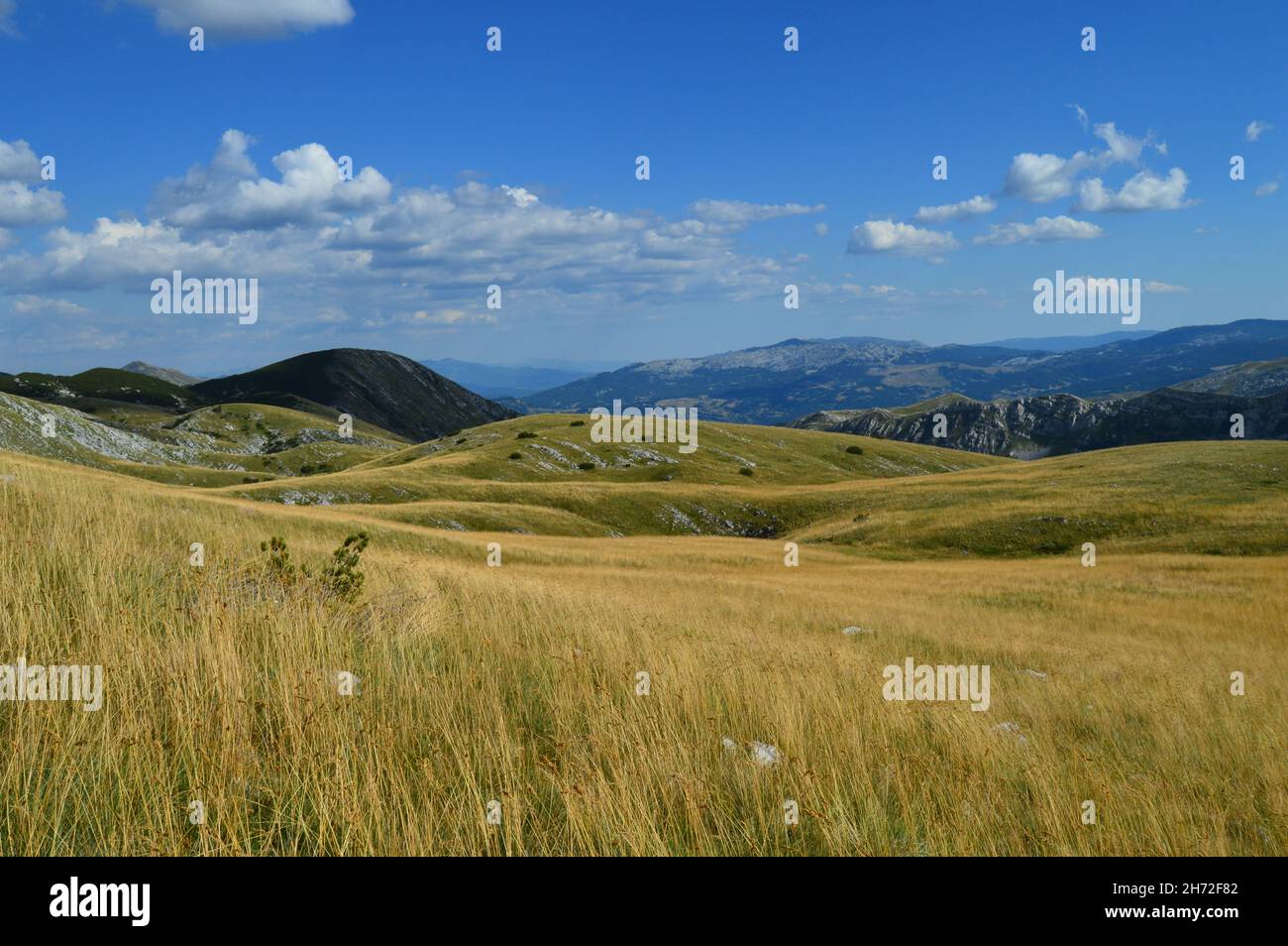 Hiking on Volujak mountain, Great Vlasulja peak, Bosnia Stock Photo - Alamy