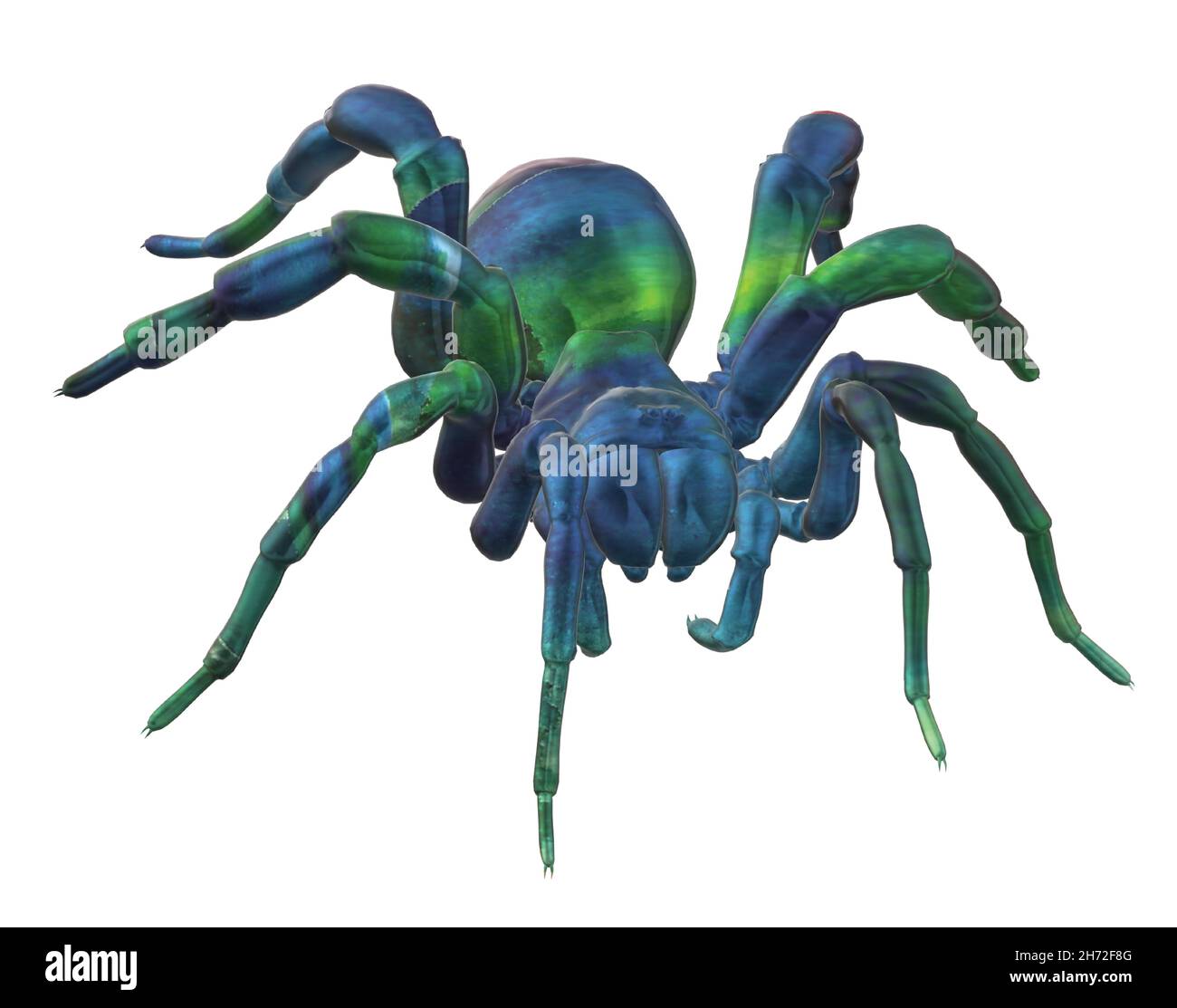 Metal spiders web Stock Vector Images - Alamy