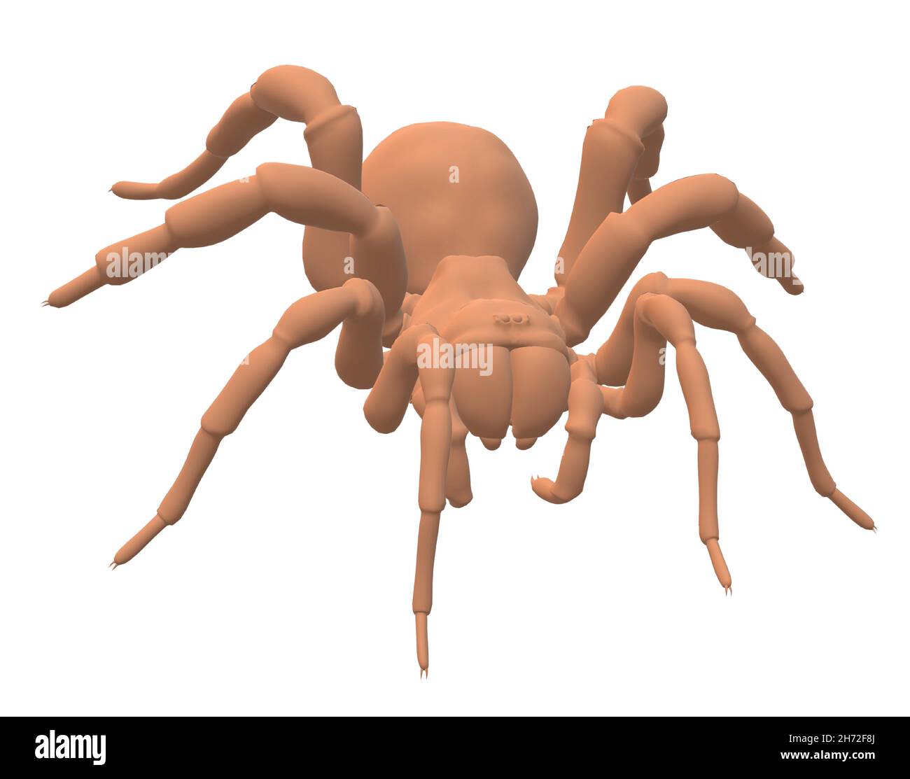 Solid Brown Colored Spider Arachnid Decoration Stock Vector Image & Art ...