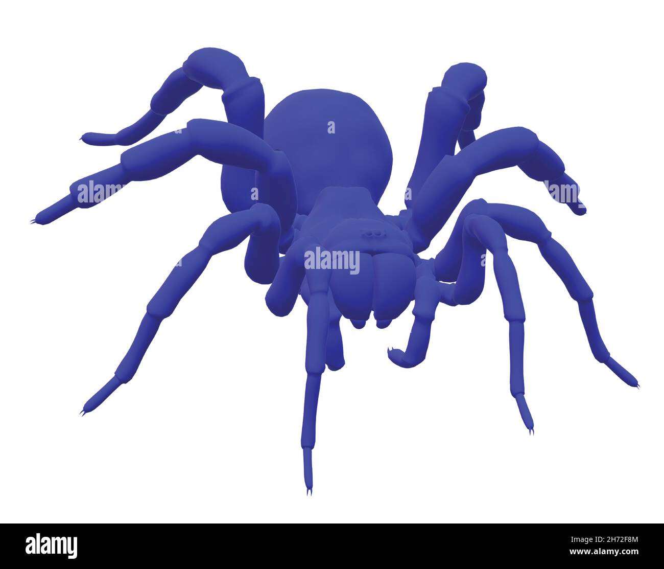 Solid Blue Colored Spider Arachnid Decoration Stock Vector Image & Art ...