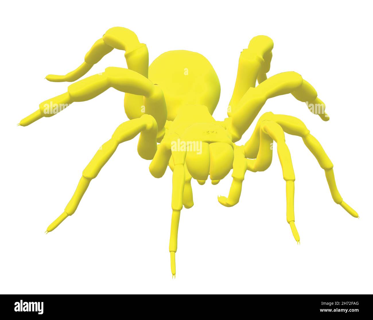 Solid Yellow Colored Spider Arachnid Decoration Stock Vector Image ...
