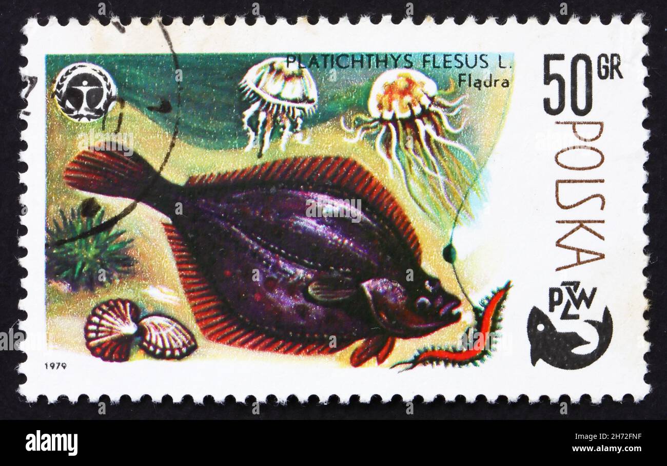 POLAND - CIRCA 1979: a stamp printed in the Poland shows Flounder ...