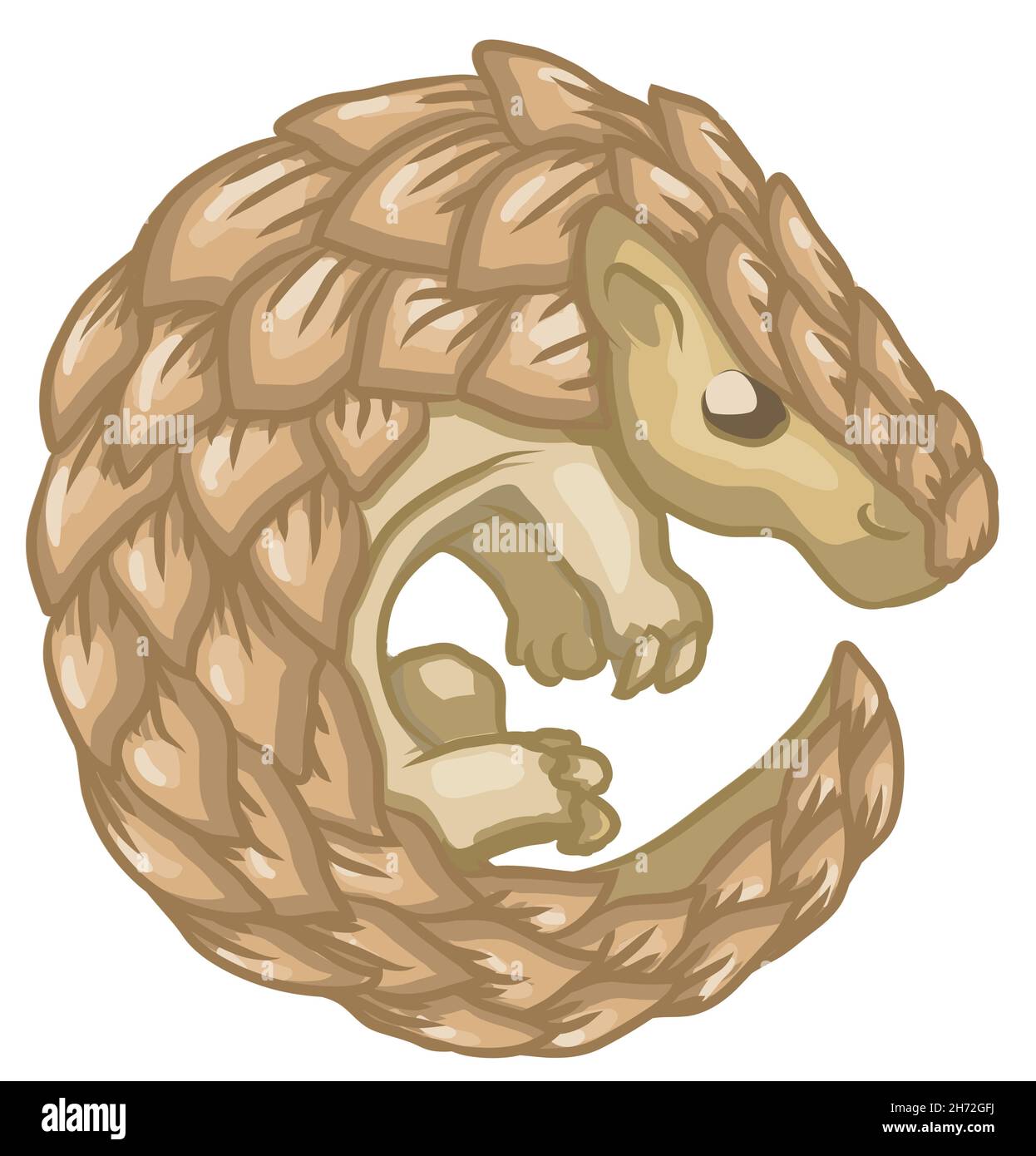 Pangolin curling round animal cartoon color vector illustration ...