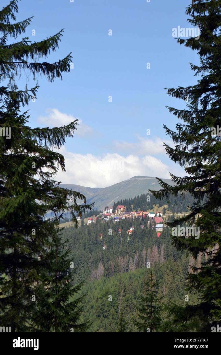Through the coniferous forests at the foot of Mount Parang you can see ...