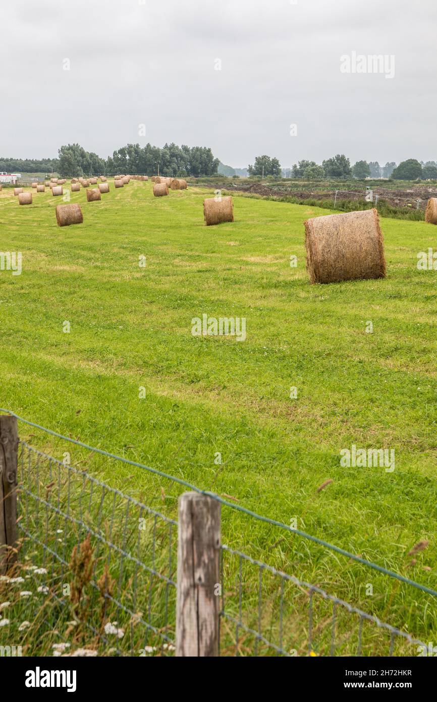 Rolls of hey hi-res stock photography and images - Alamy
