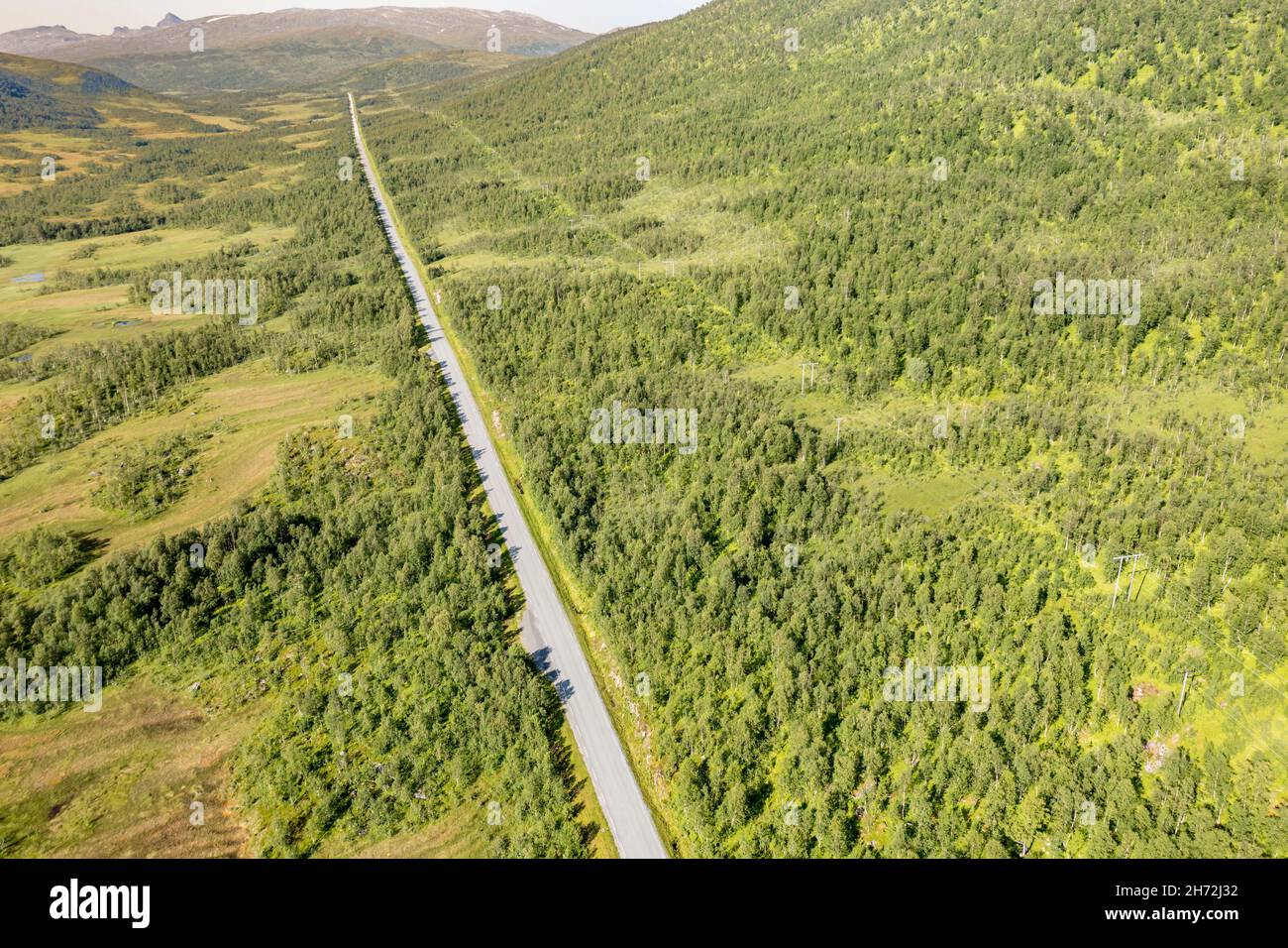 Aerial view of a straight road and power line cutting through forest ...