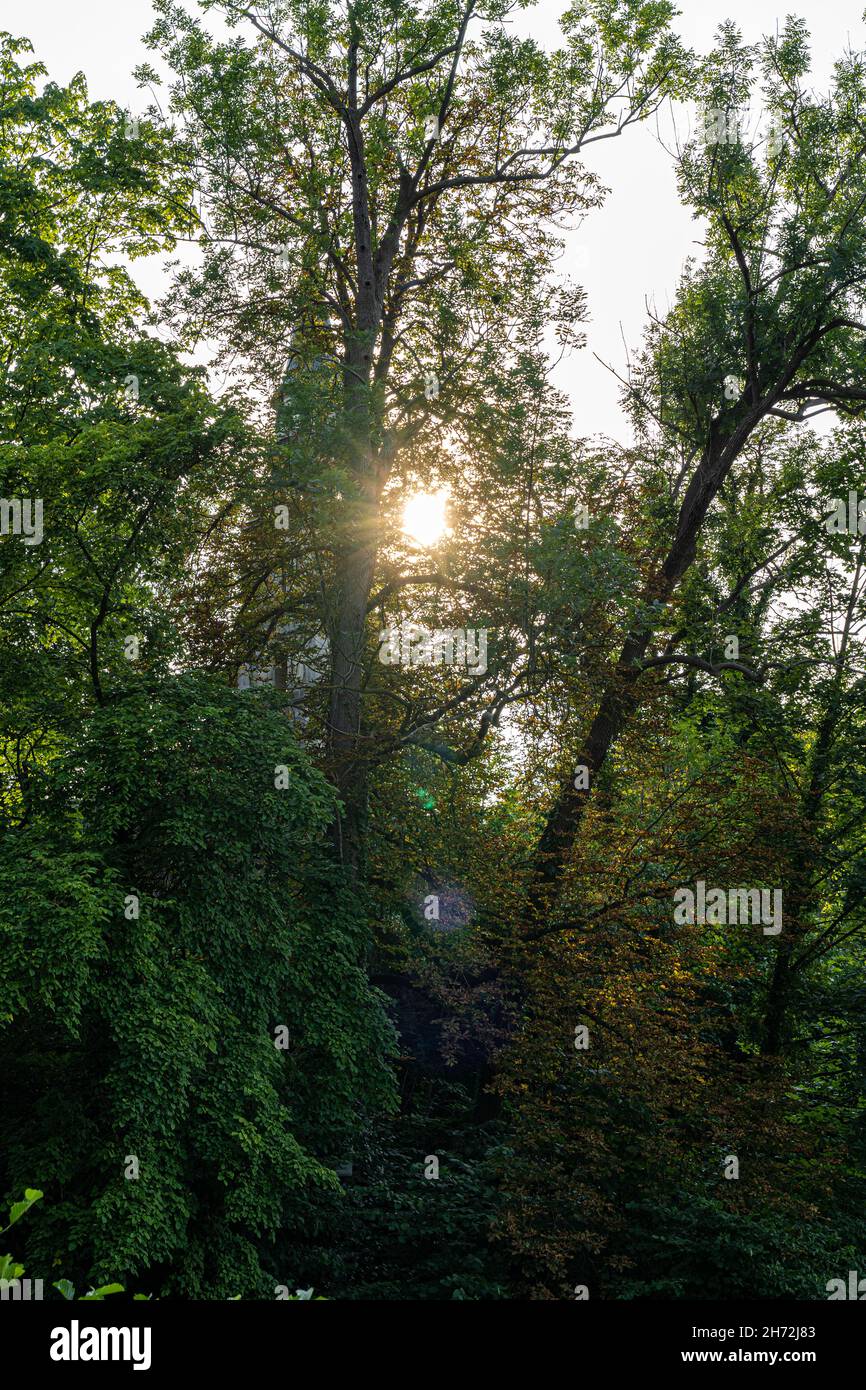 Little tower in the woods like in a fairytale Stock Photo - Alamy