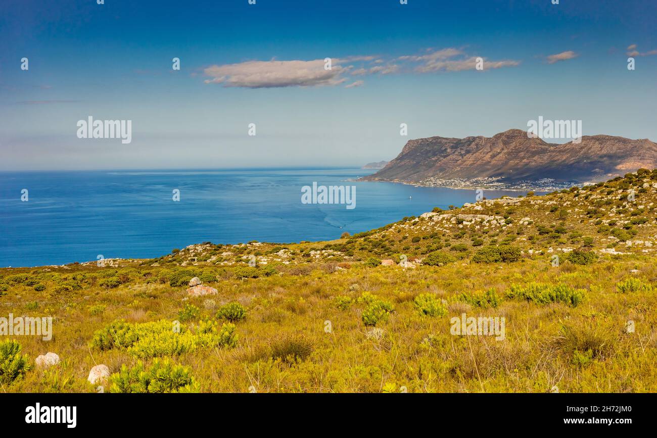 Coastal mountain landscape with fynbos flora in Cape Town South Africa ...