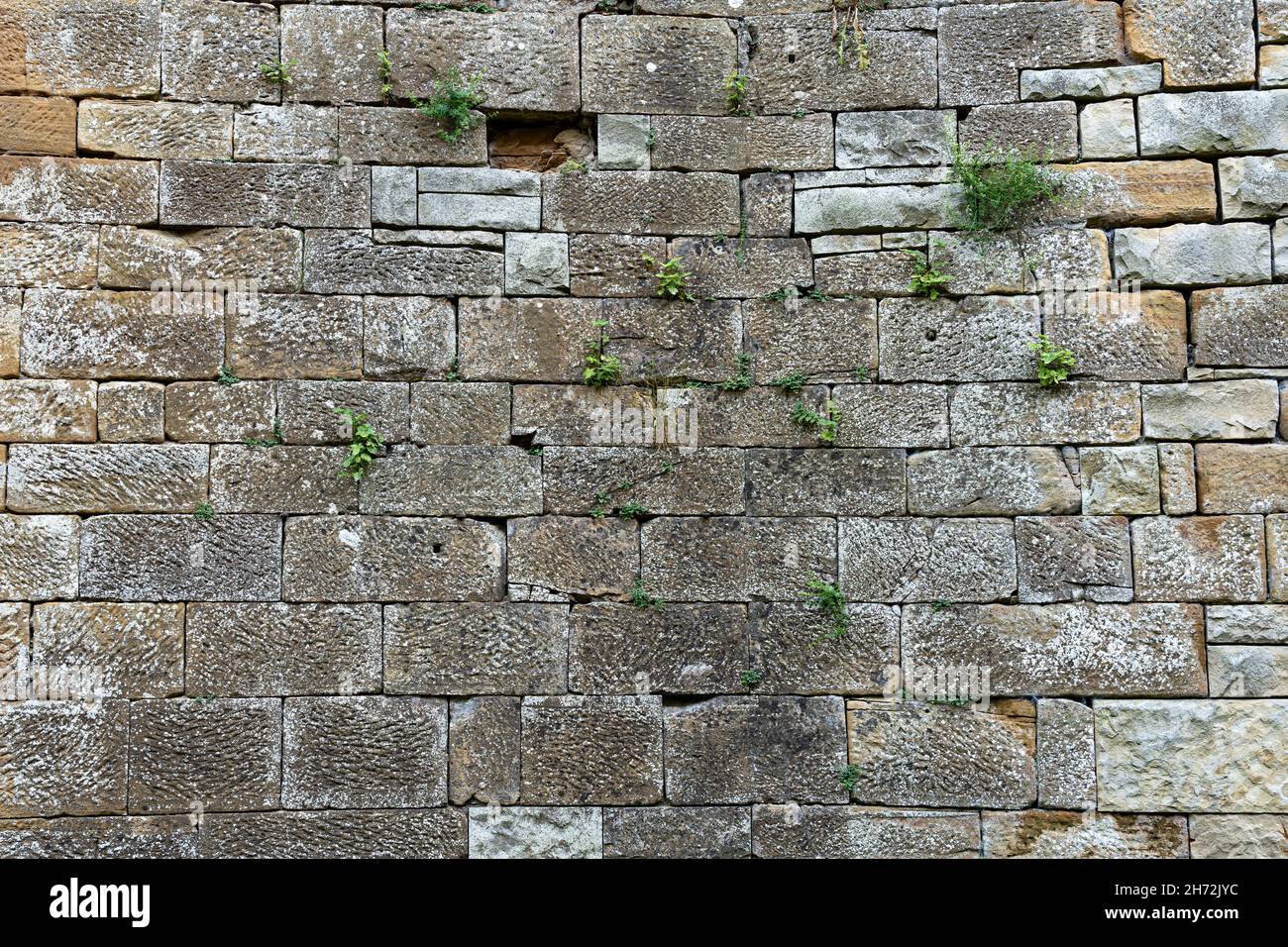 Massive high walls of an old medieval castle Stock Photo - Alamy