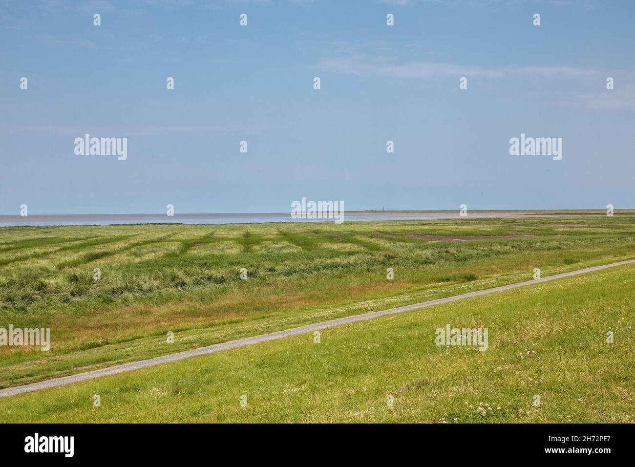 Flat salt marshes and the North Sea of North Germany Stock Photo - Alamy