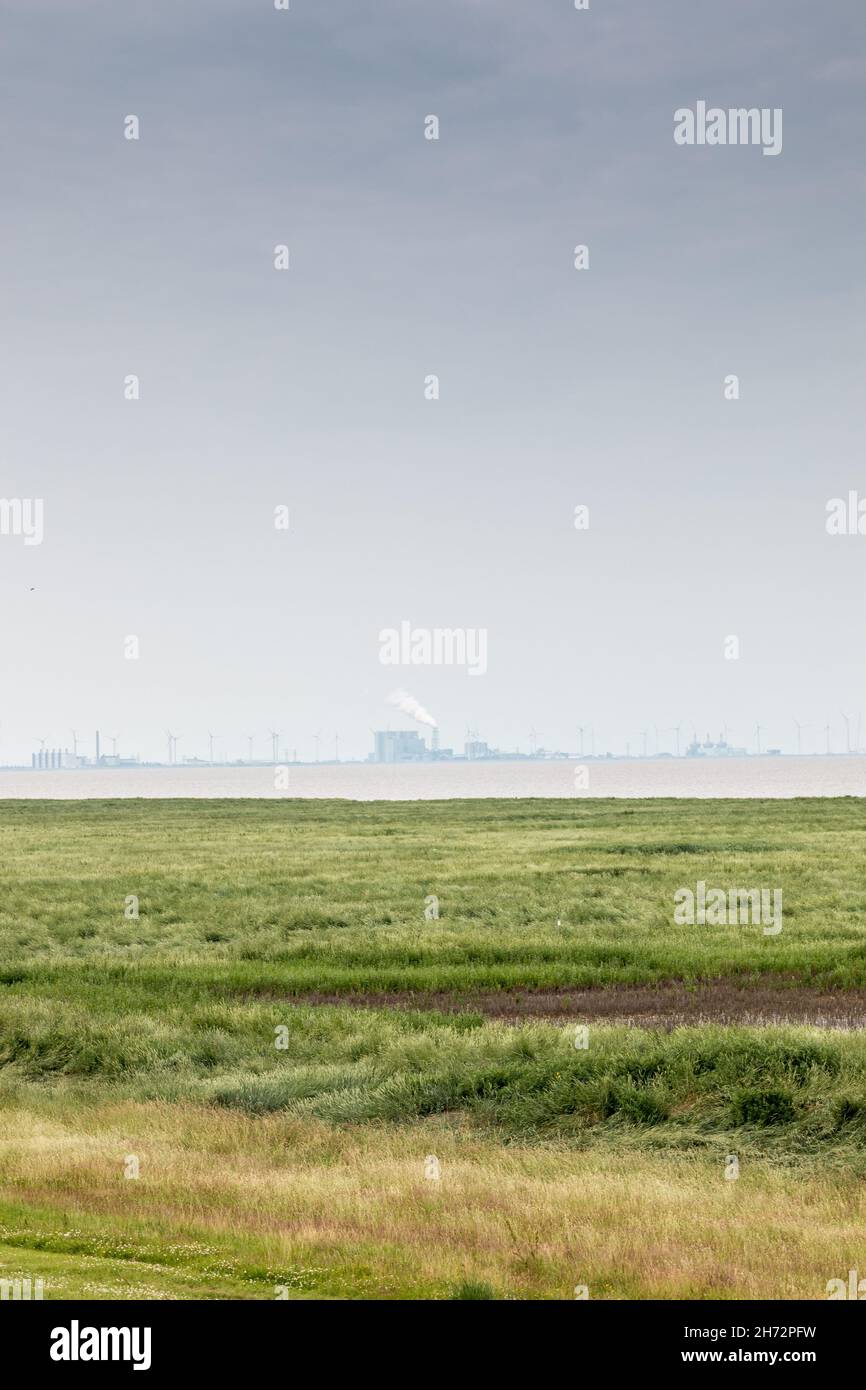 Flat salt marshes and the North Sea of North Germany Stock Photo - Alamy