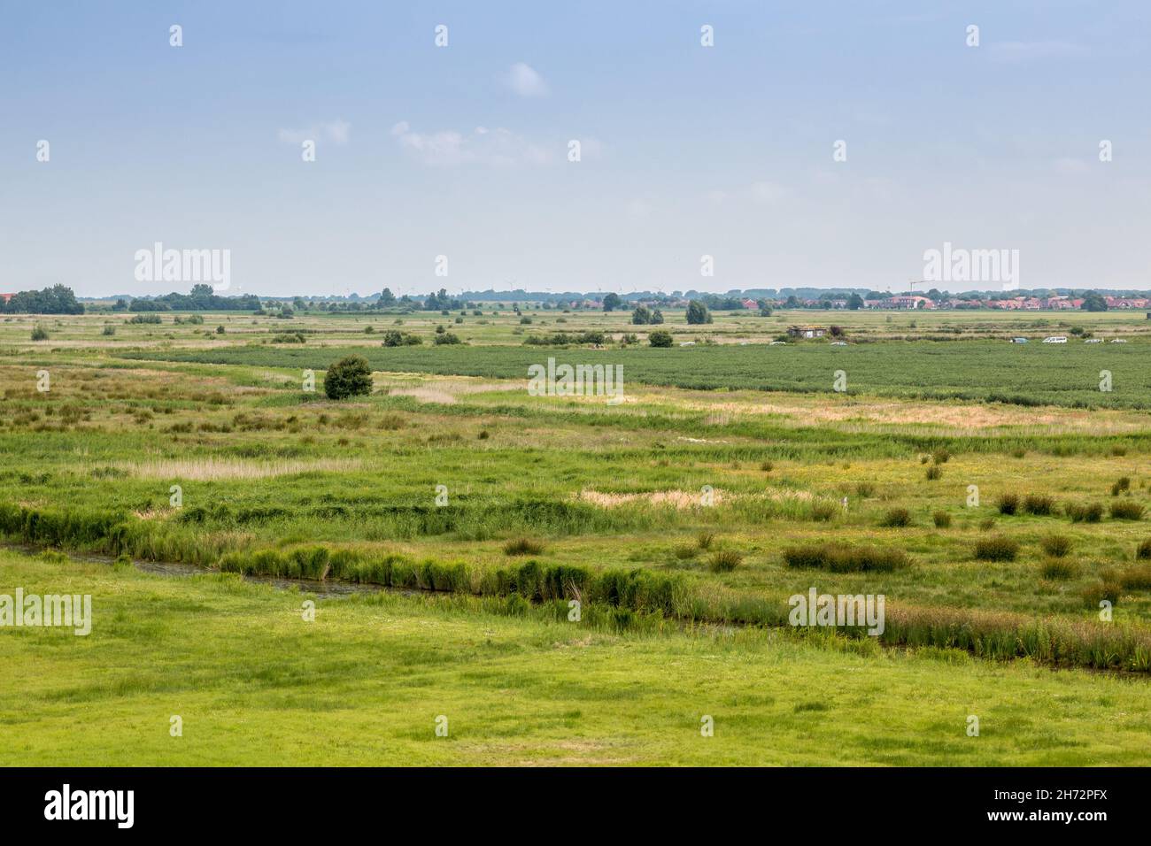 Flat salt marshes and the North Sea of North Germany Stock Photo - Alamy
