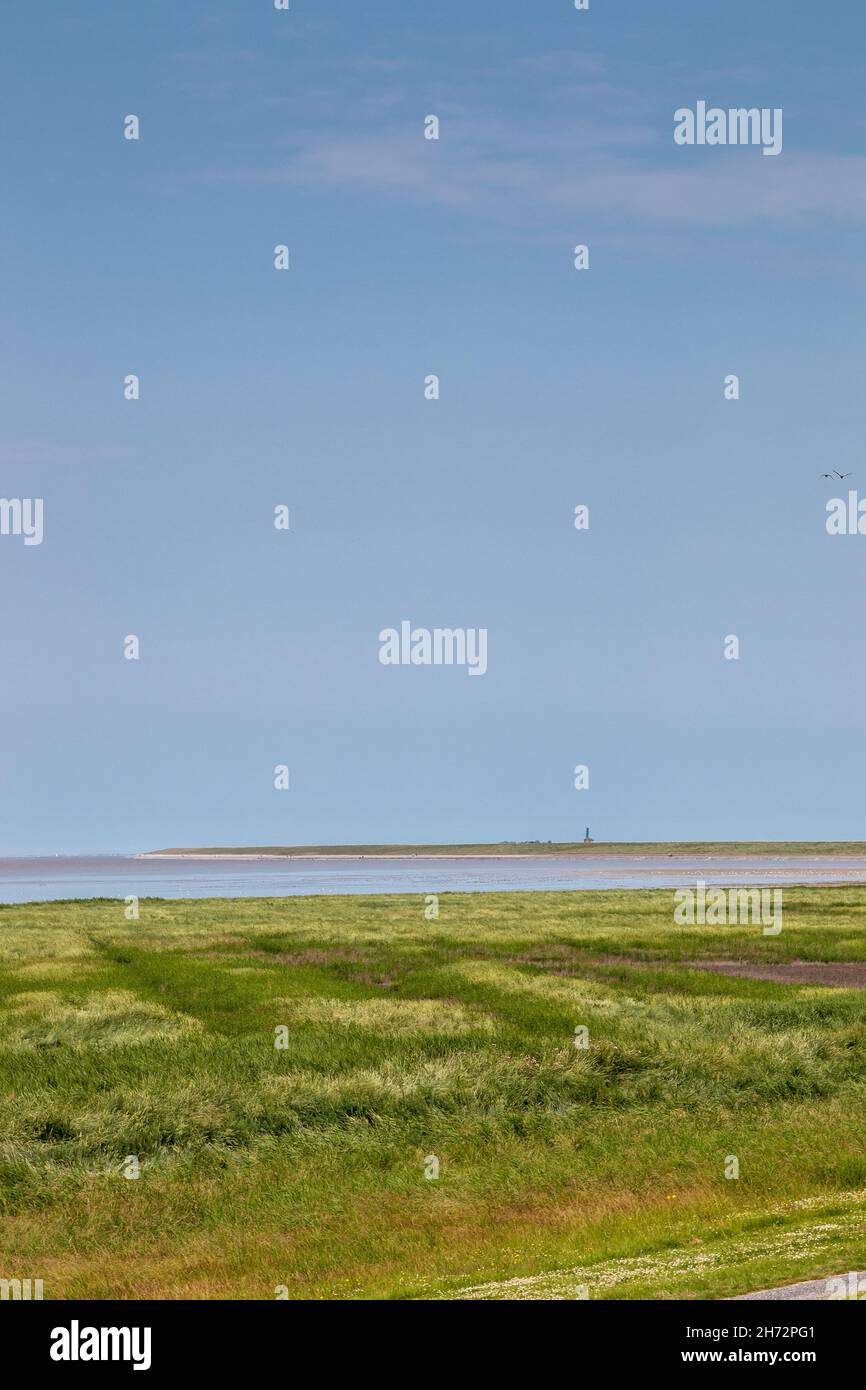 Flat salt marshes and the North Sea of North Germany Stock Photo - Alamy